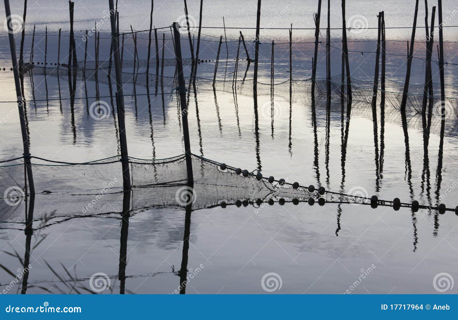Fishing net stock photo. Image of network, fishing, blue - 17717964