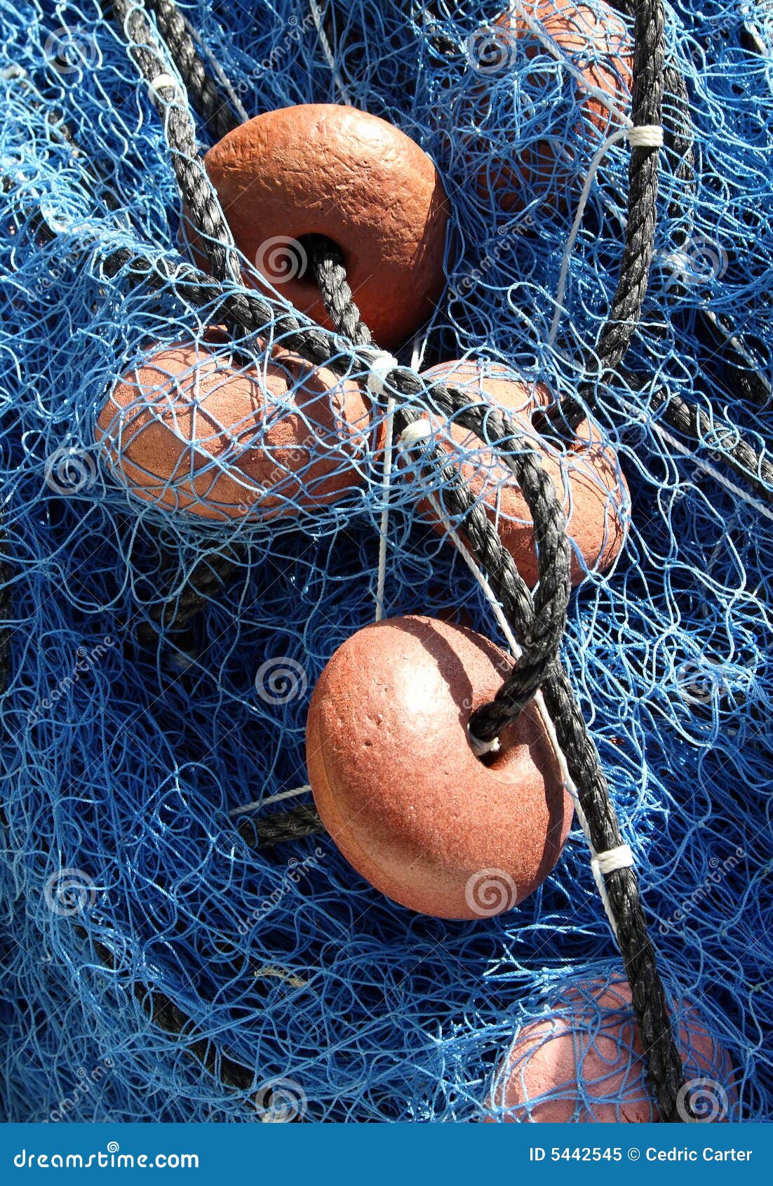 Fishing net stock image. Image of fish, fishing, buoy - 5442545