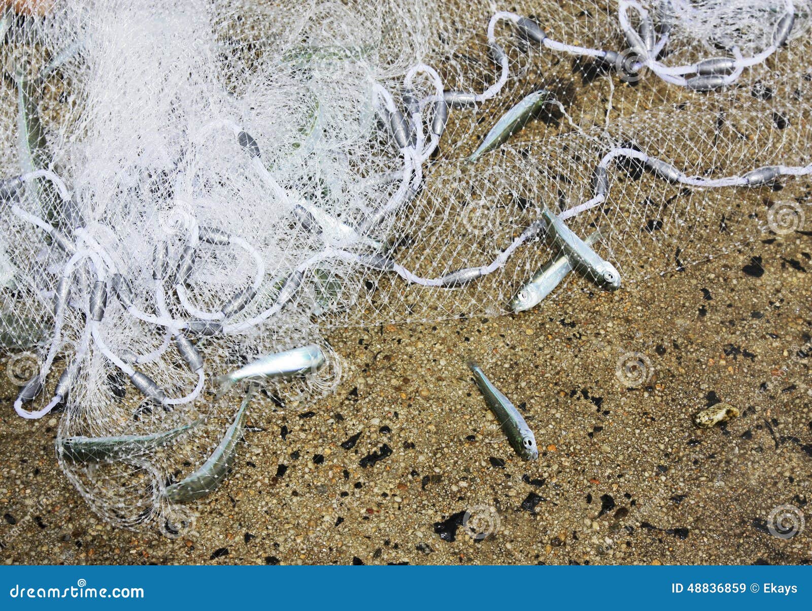 Fishing Cast Net In A Basket Dragnet Stock Photography | CartoonDealer ...