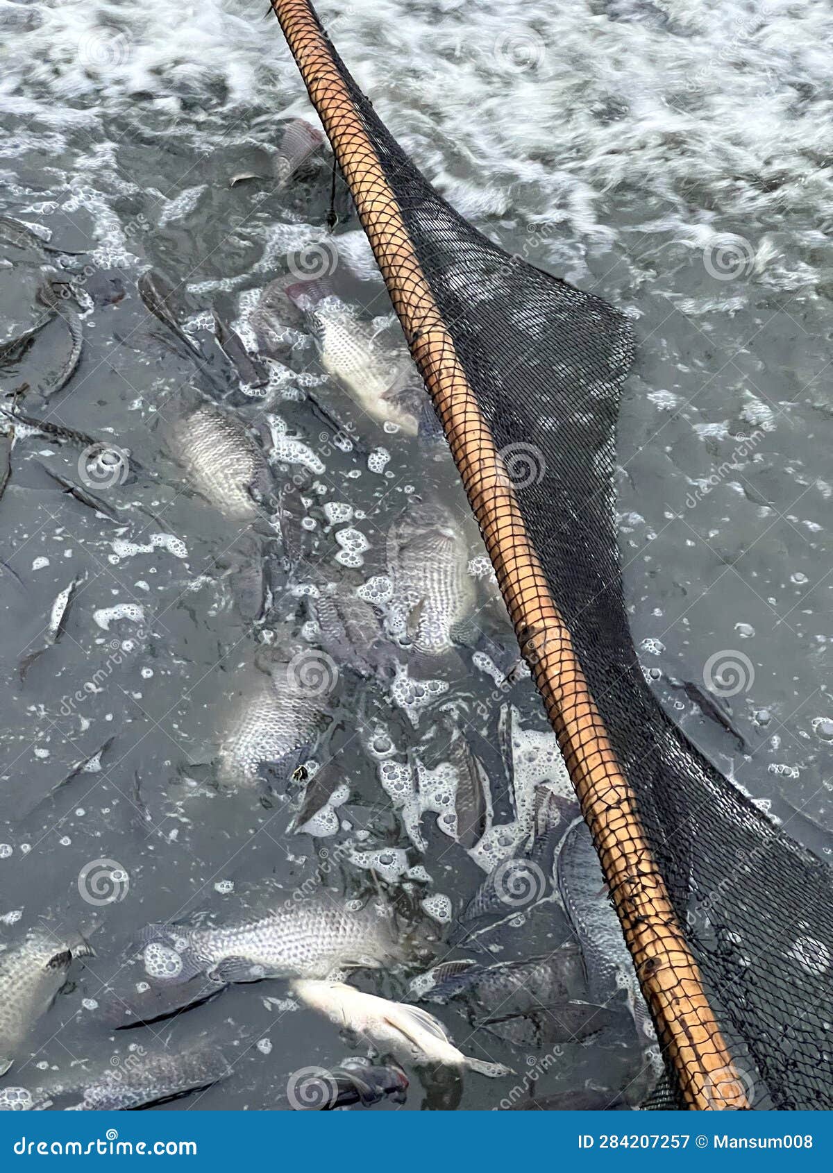 Fishing net on the beach stock image. Image of fisherman - 284207257
