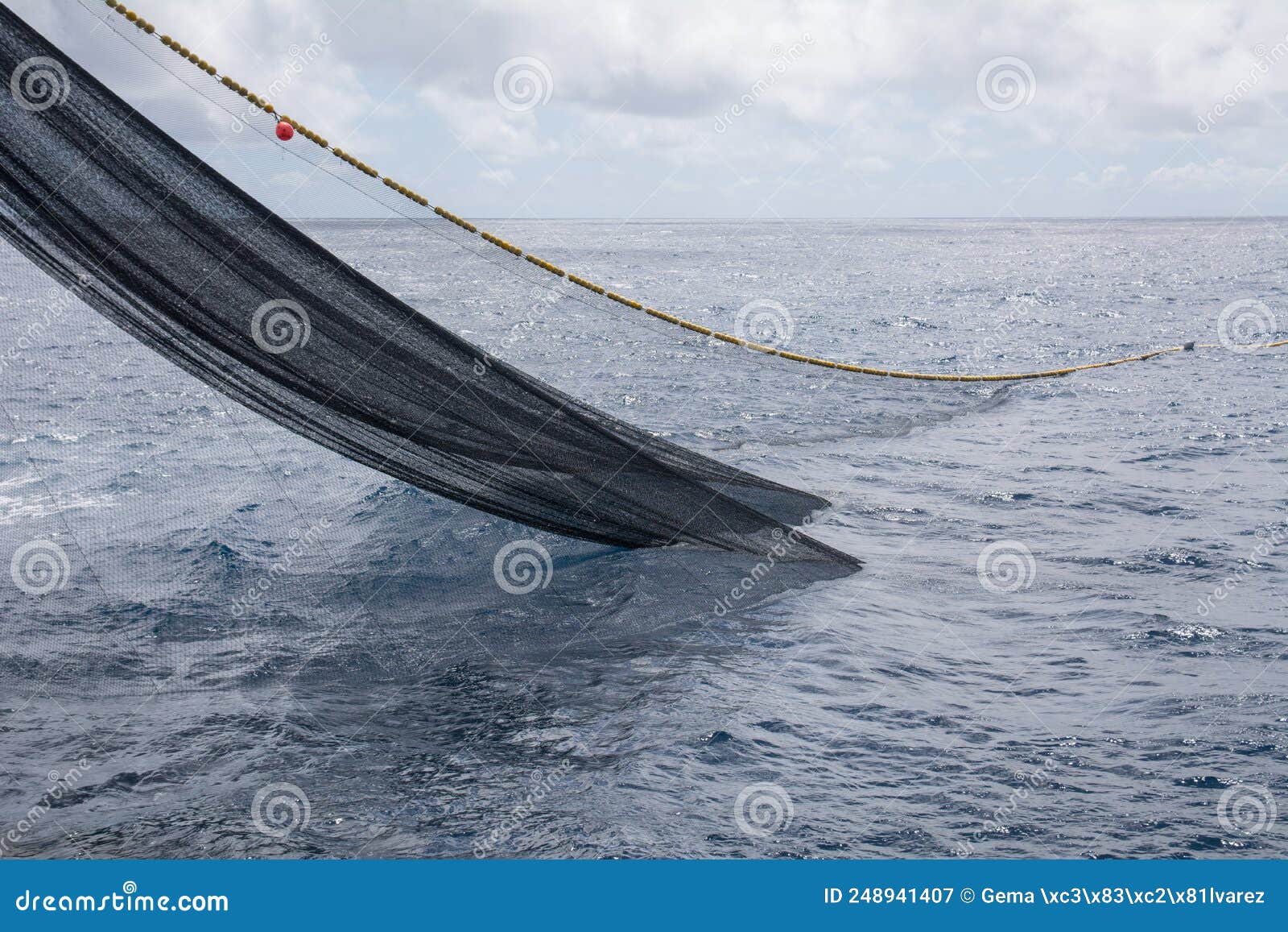 Fishing Net Being Picking Up during a Fishing Operation Stock Image ...