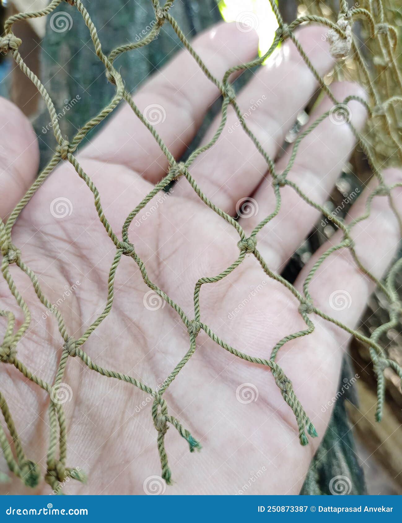 Fishing Net Holding Human Hand Stock Image - Image of textile, tree ...