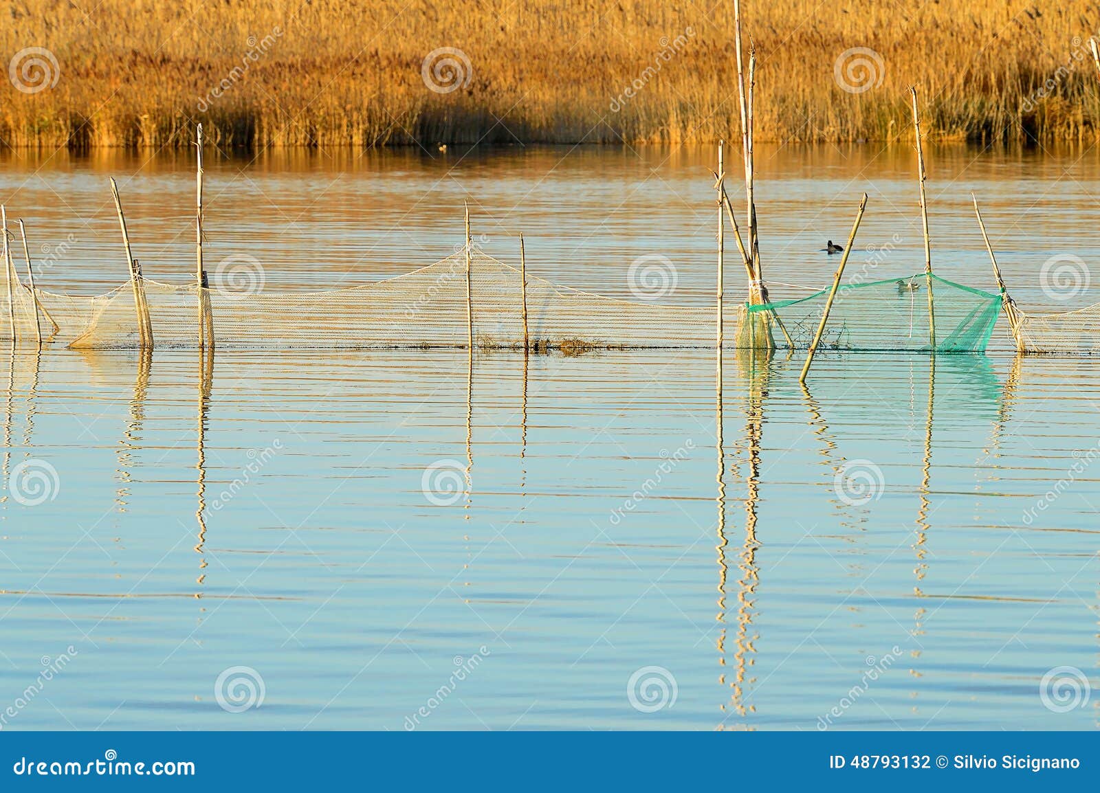 Fishing Net Picture,fishing Net Viewing,trap,entrapment,Fishing Net ...