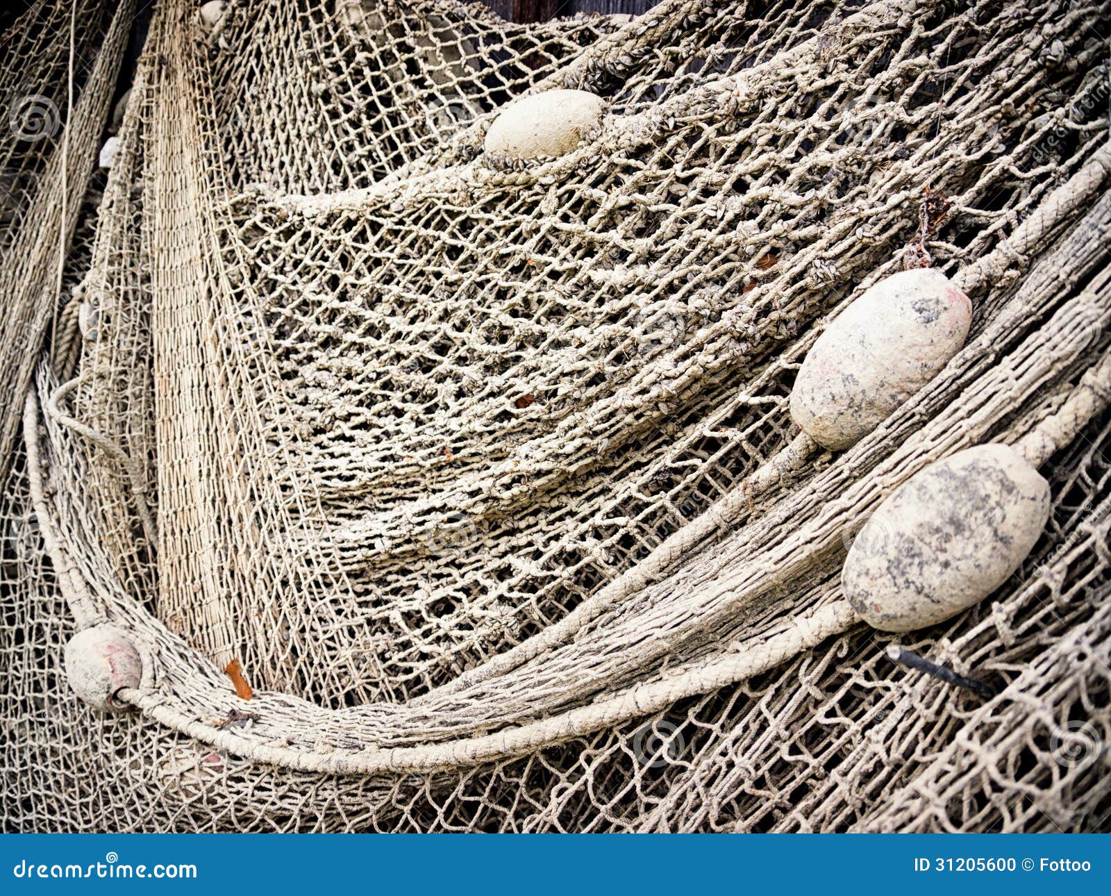 Fishing net stock photo. Image of work, idyllic, fishnet - 31205600