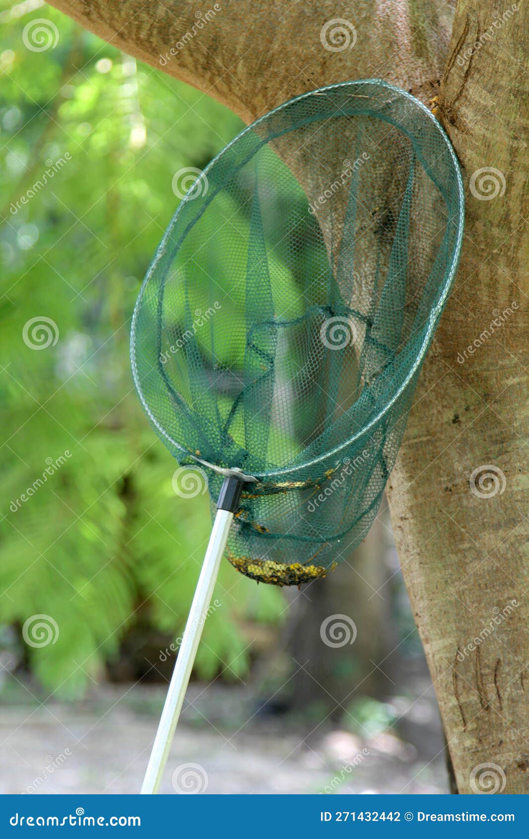 Fishing net place by tree stock photo. Image of plant - 271432442