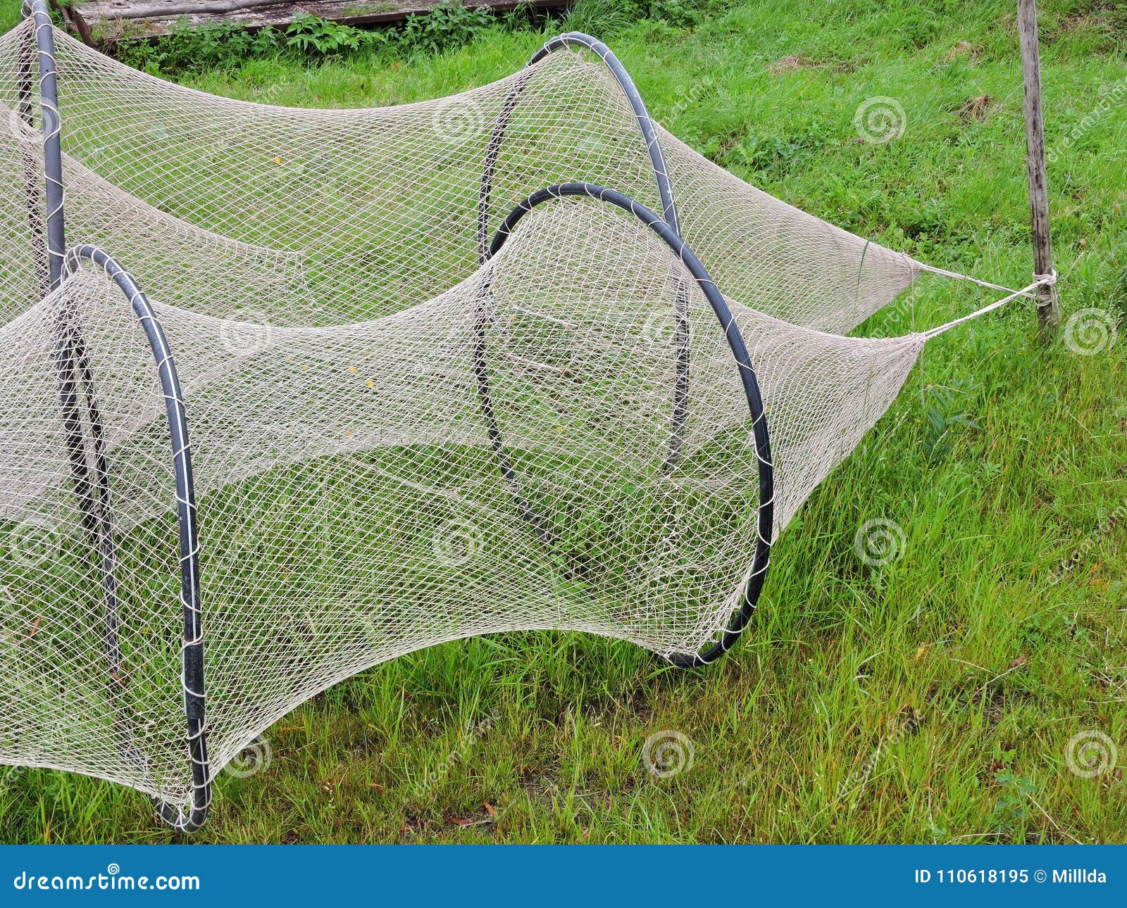 Fishing web on green grass stock image. Image of fish - 110618195