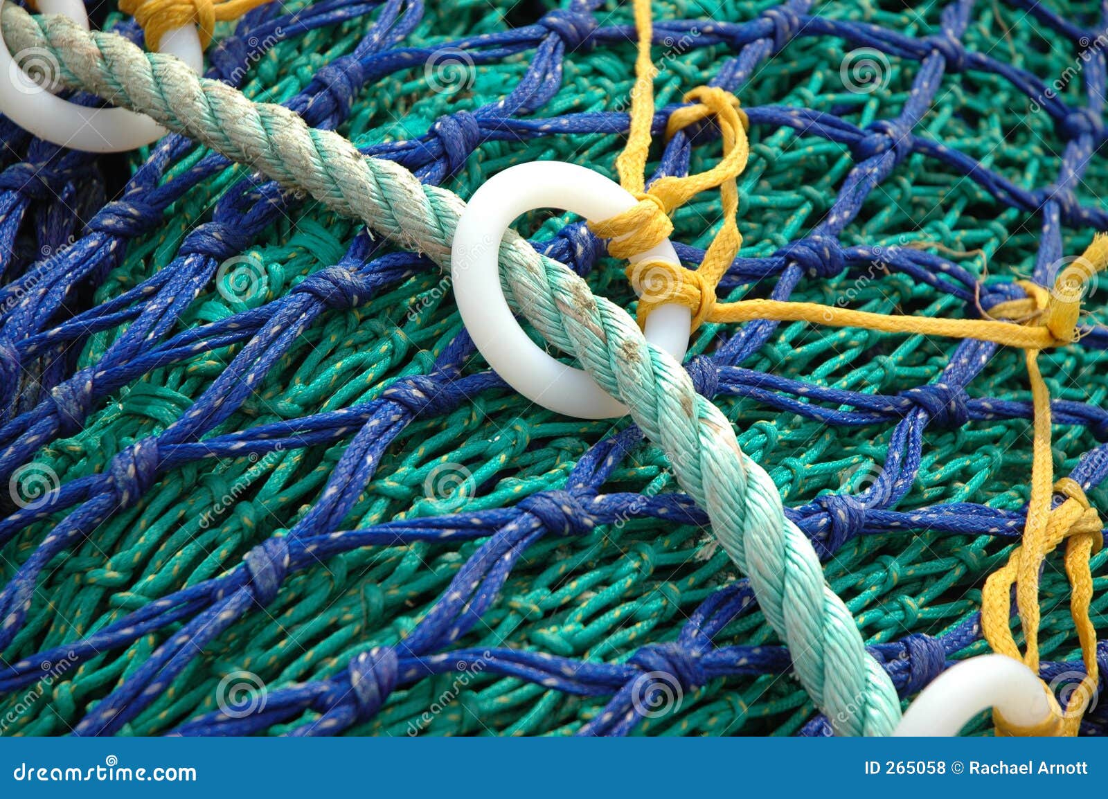 Fishing Net & Rings stock photo. Image of plastic, knots - 265058