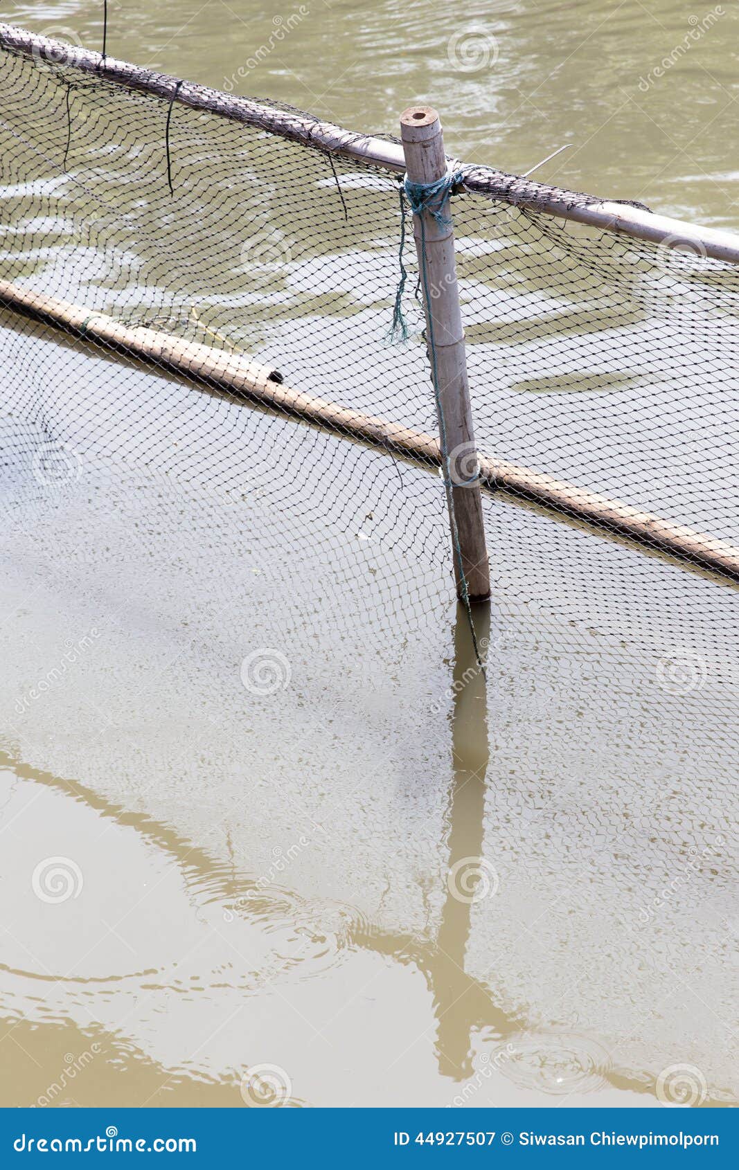 Fishing net in river stock image. Image of nets, knot - 44927507