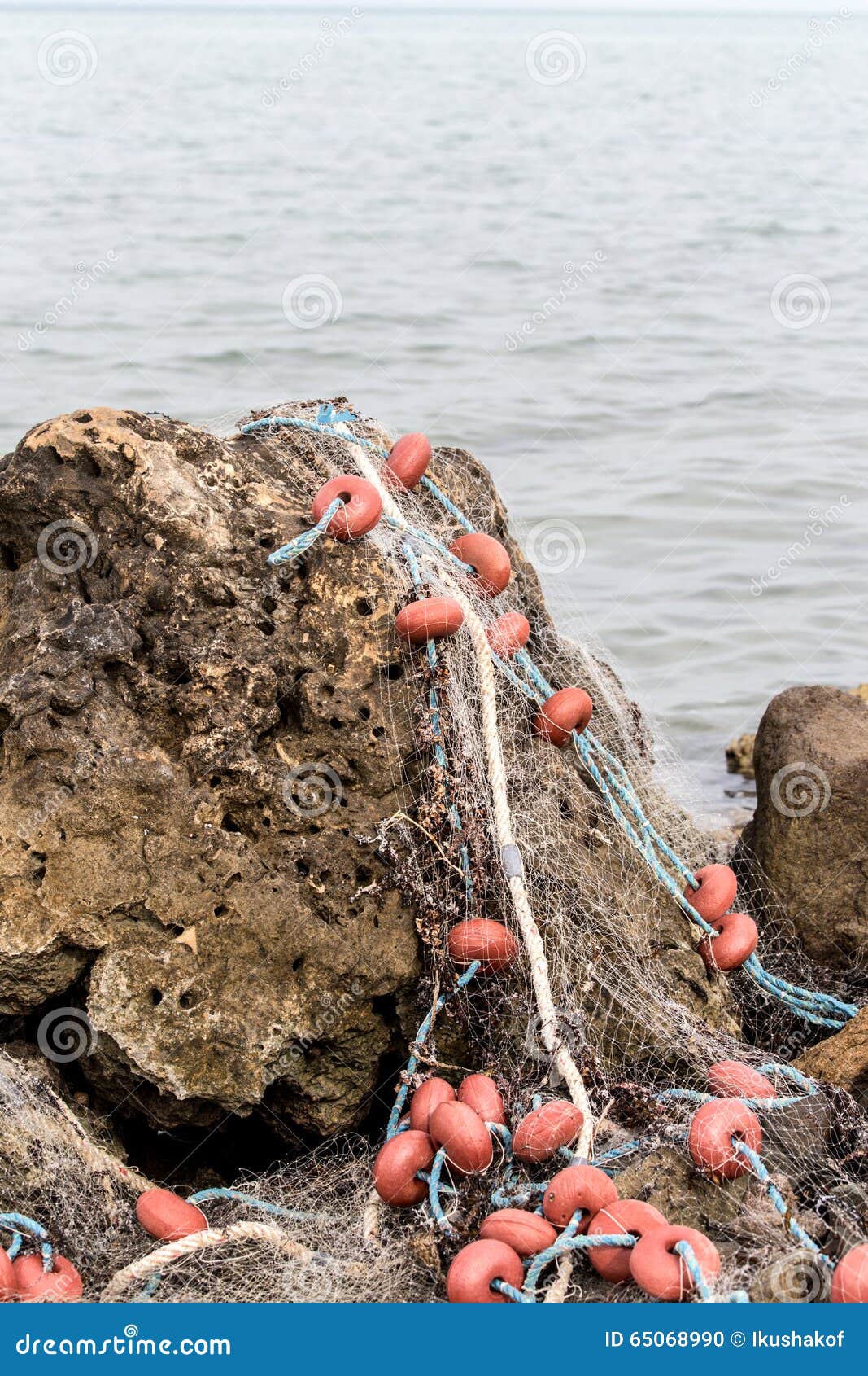 Fishing net on a rock stock photo. Image of tropical - 65068990