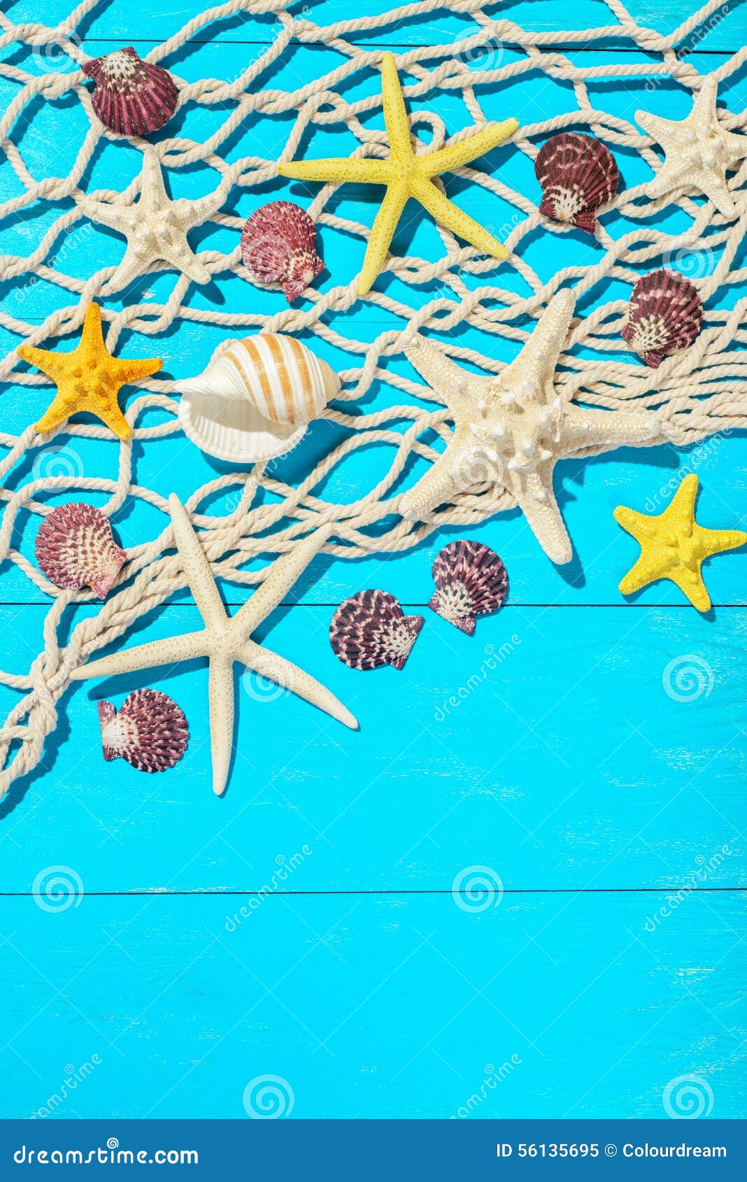 Fishing net and seashells stock image. Image of seashell - 56135695
