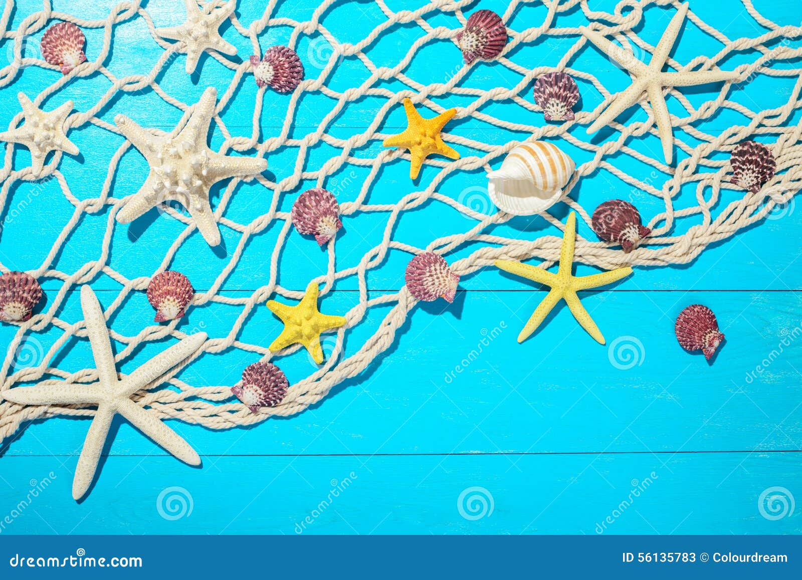 Fishing net and seashells stock image. Image of board - 56135783