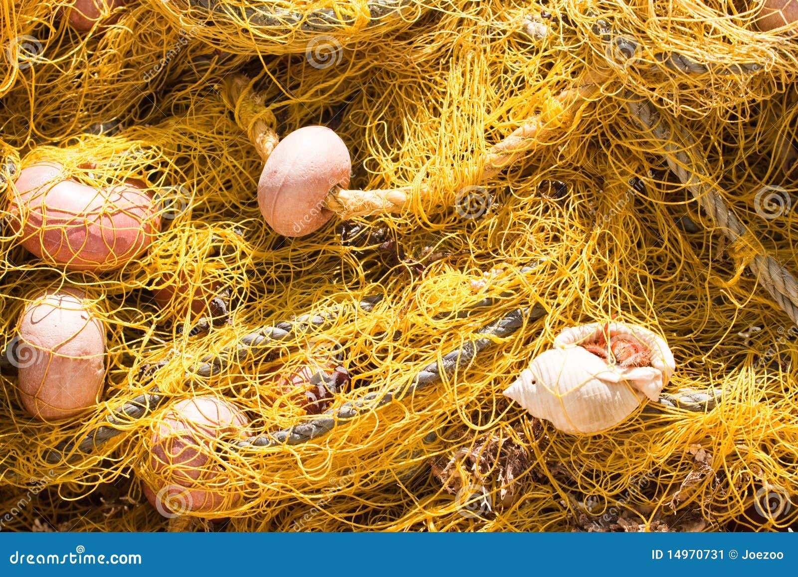 Fishing net with shell stock image. Image of bright, harbor - 14970731