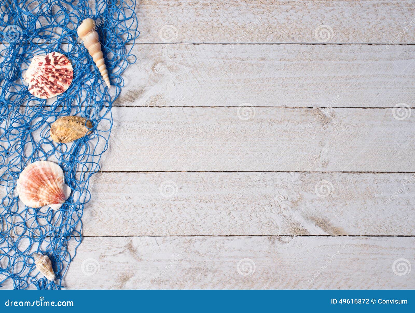 Fishing net and shells stock photo. Image of beach, shell - 49616872