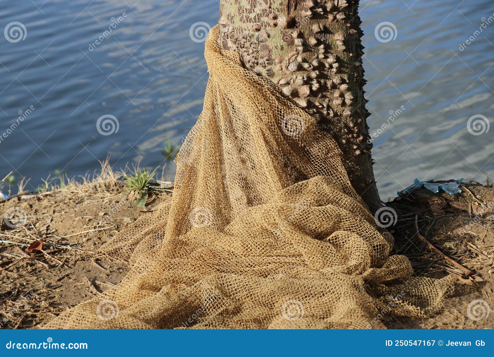 Fishing Net by the Side of the River Kept on the Bottom of Tree Trunk ...