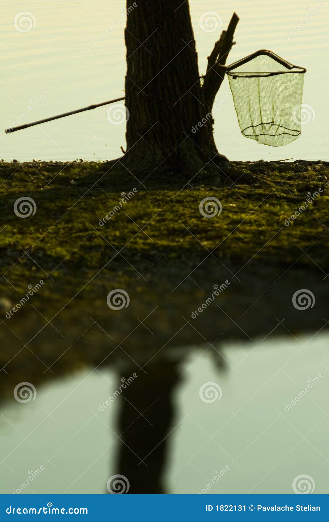 Fishing Net on Tree stock image. Image of sport, hobby - 1822131