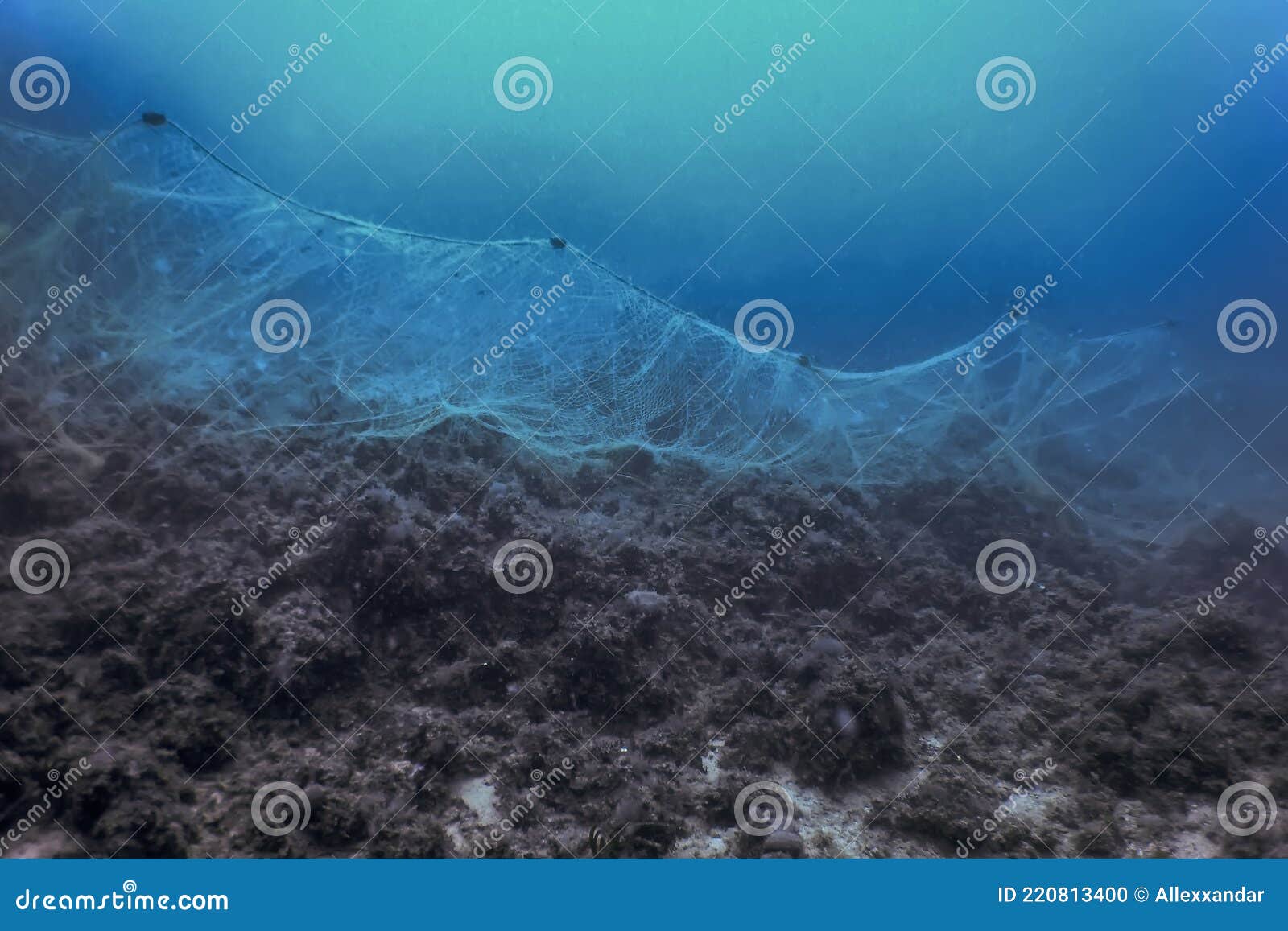 A Fishing Net Underwater Fixed on the Seabed Stock Photo - Image of ...