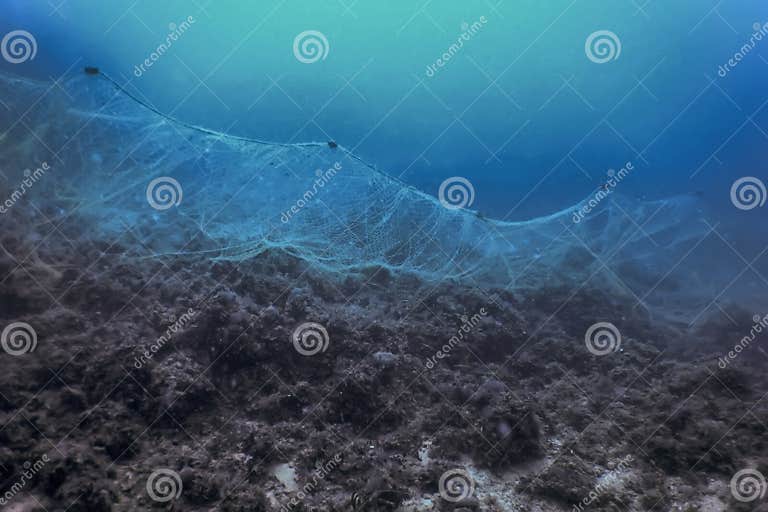 A Fishing Net Underwater Fixed on the Seabed Stock Photo - Image of ...