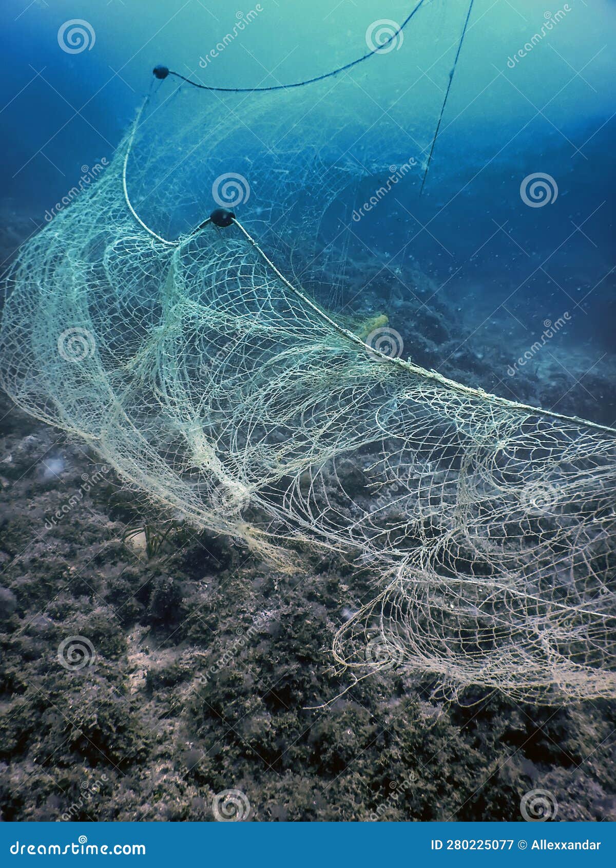 A Fishing Net Underwater Fixed on the Seabed Stock Image - Image of ...