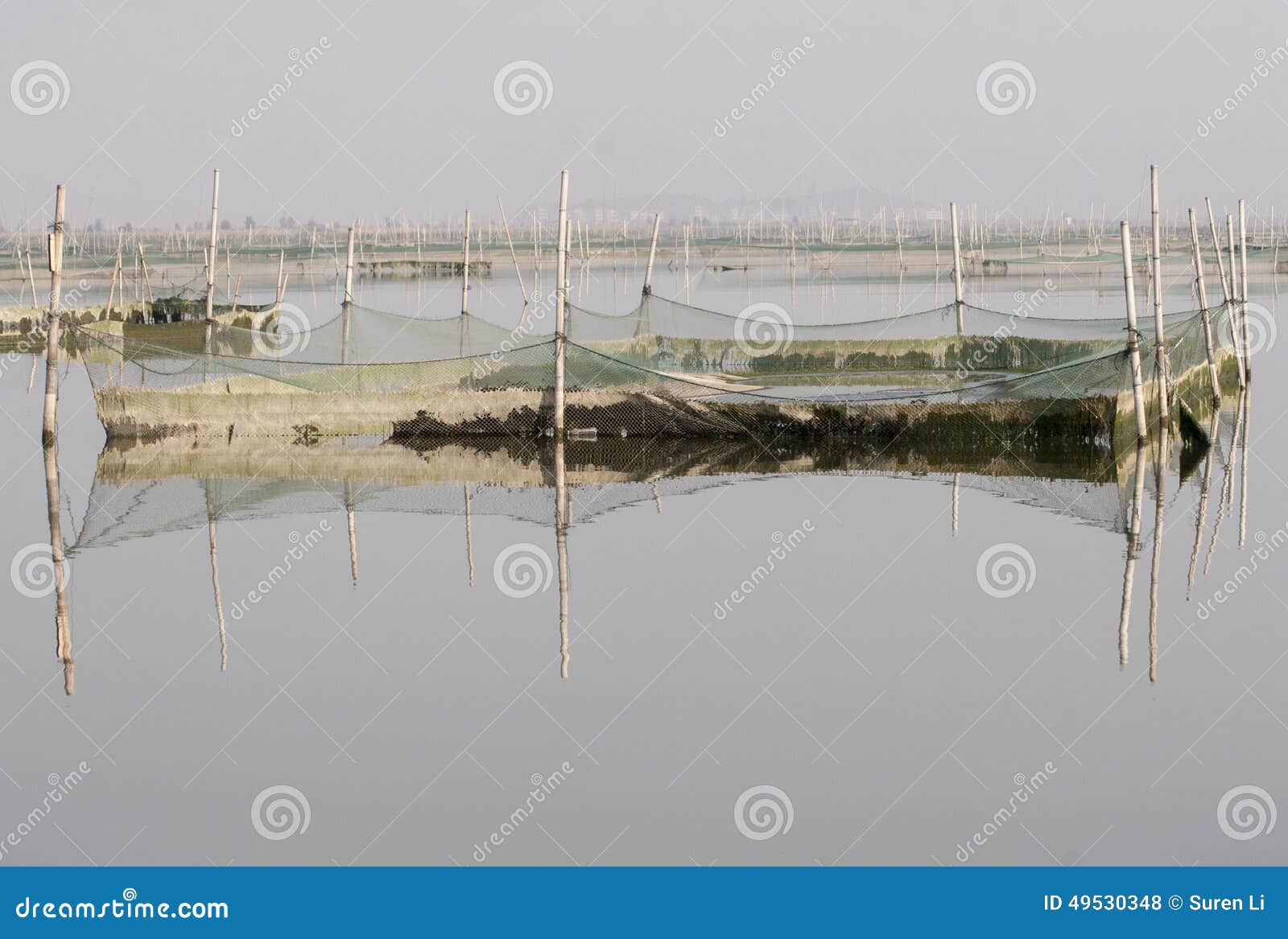 The Fishing Net in the Wetland Stock Photo - Image of freedom, scene ...
