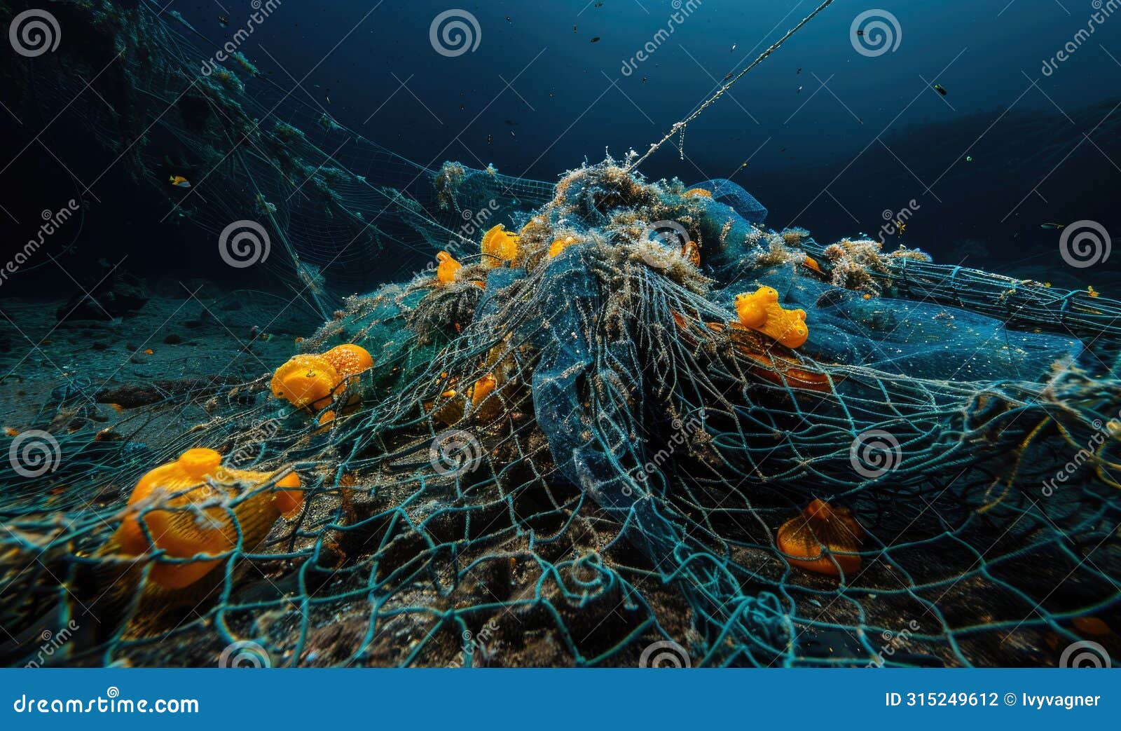 Fishing Nets Abandoned on the Seabed Entangled with Marine Life Stock ...
