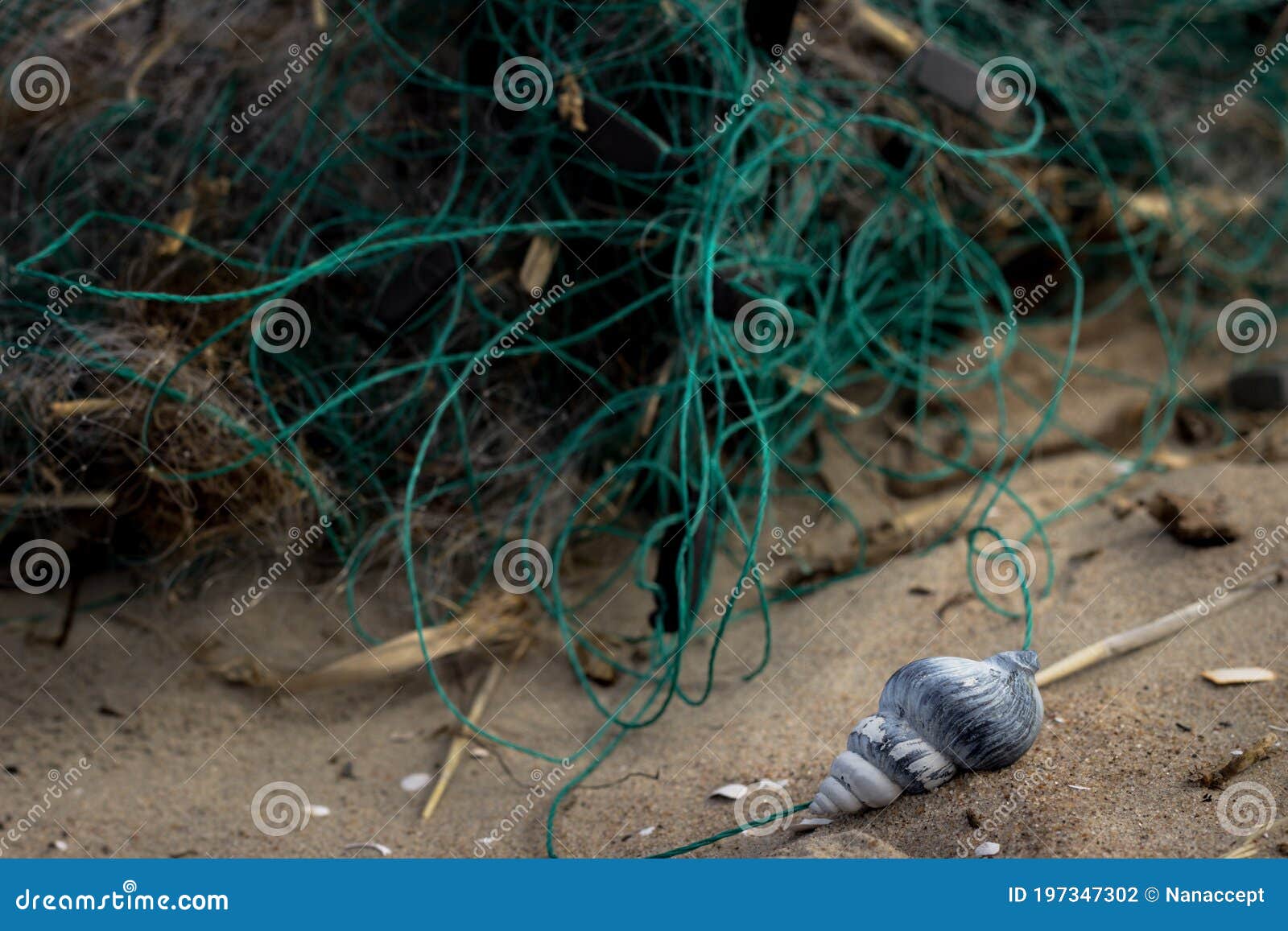 Fishing Nets on the Beach with a Small Blue Shell Stock Photo - Image ...