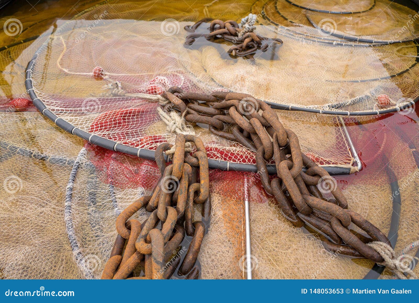 Fishing Nets are Cleaned in a Container with Acetic Acid. Stock Image ...