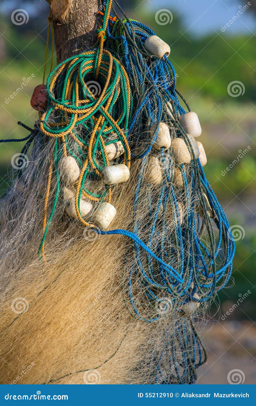 Fishing nets stock photo. Image of catch, outdoors, rope - 55212910