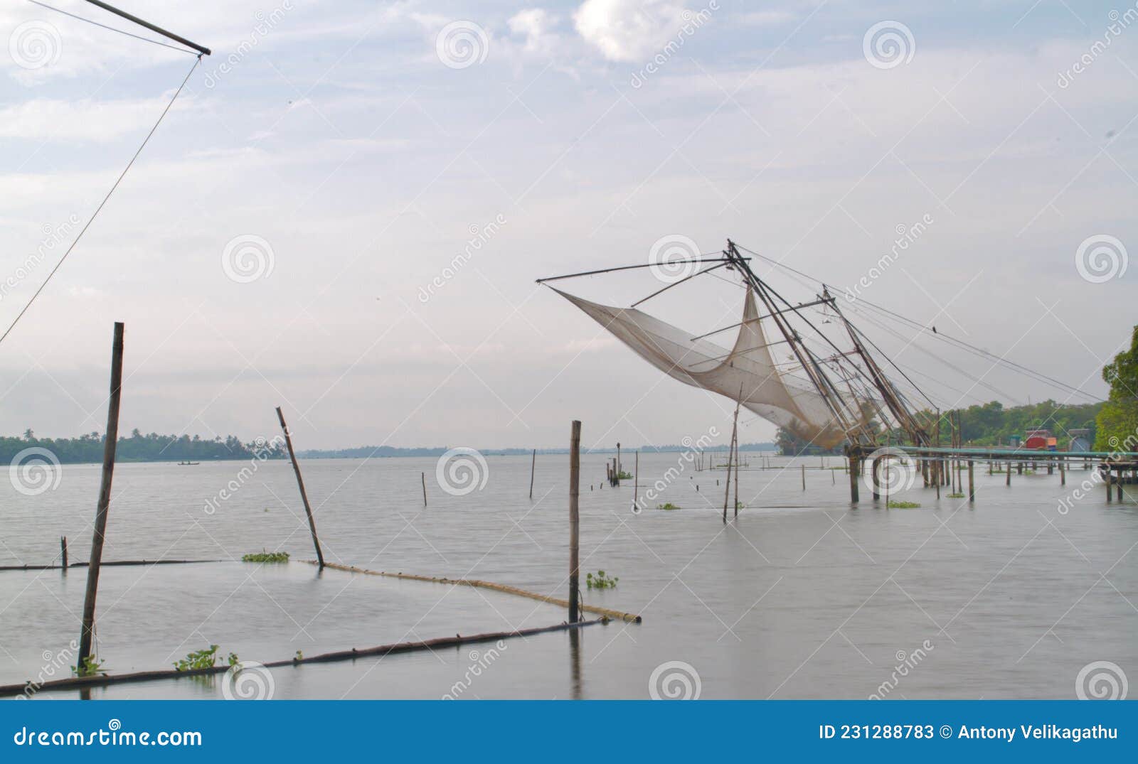 Fishing nets in the lake stock image. Image of coast - 231288783