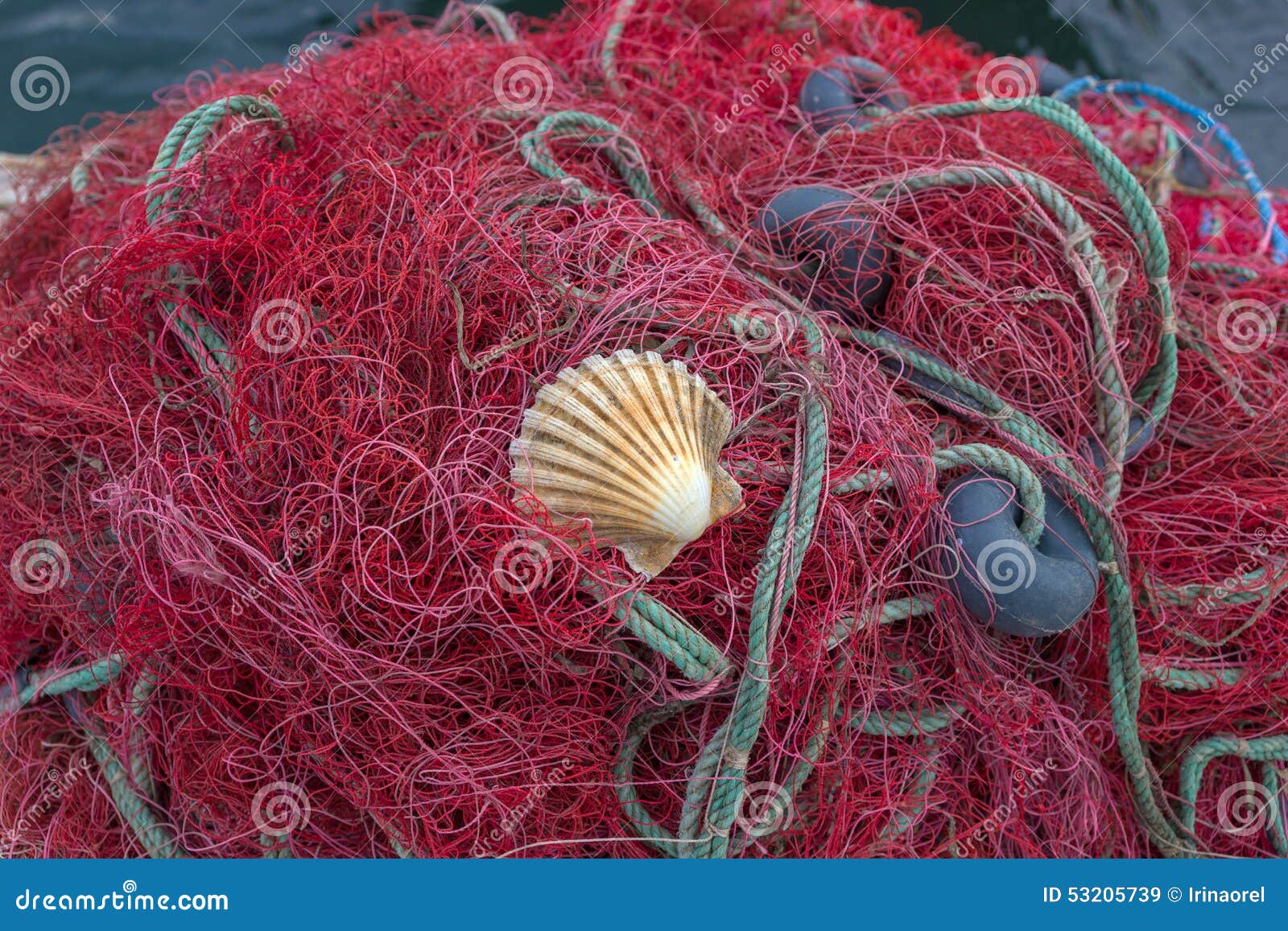 Fishing nets with shell stock image. Image of aegean - 53205739