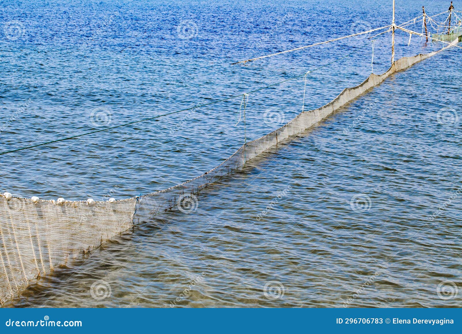 Fishing Nets with White Floats for Fishing in the Sea Stock Image ...