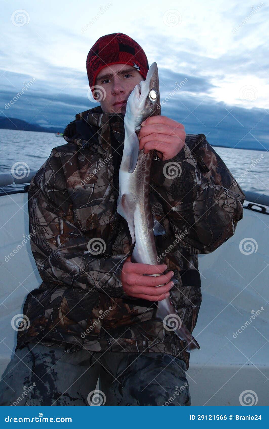 Fishing in Norway editorial photo. Image of shark, fish - 29121566