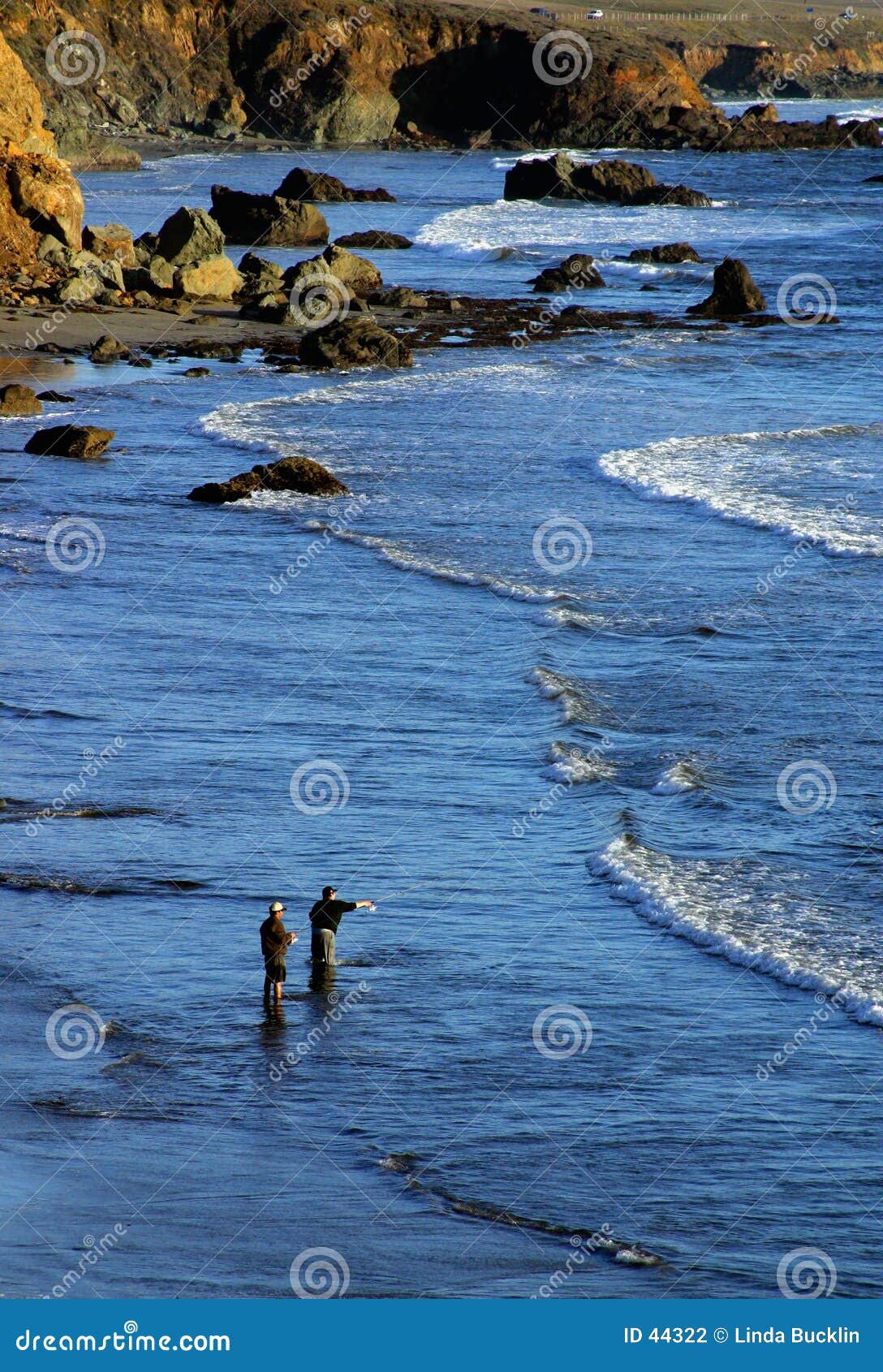 Fishing in the Pacific Ocean Stock Photo - Image of scenic, coast: 44322