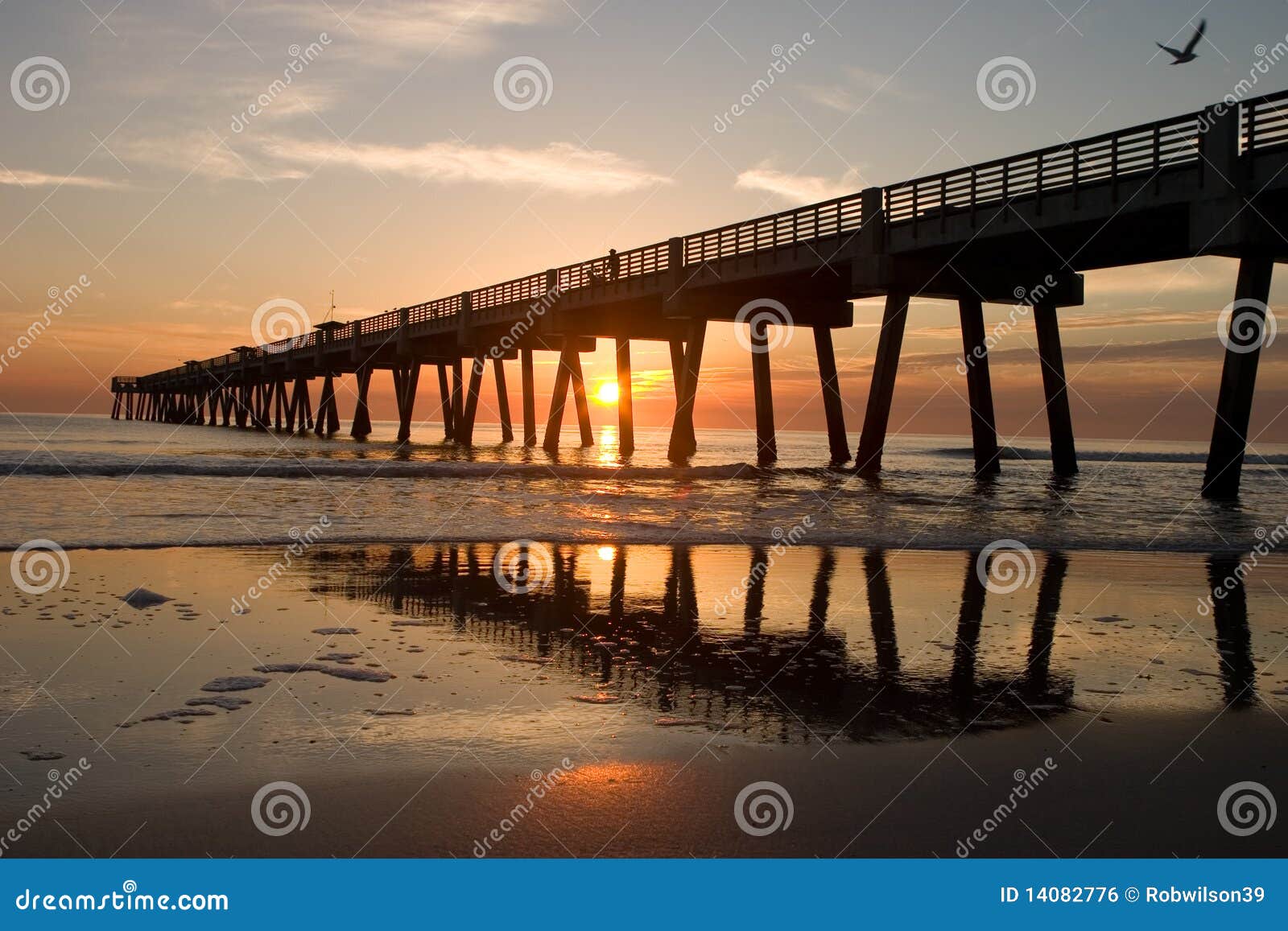 Fishing Pier stock photo. Image of male, angling, fisherman - 14082776