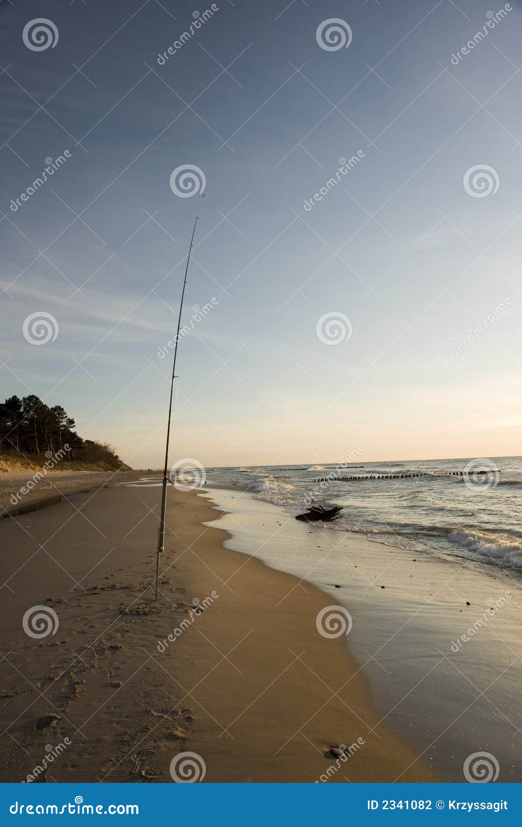 Shore Fishing Pole