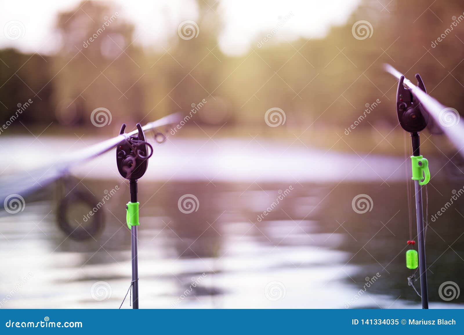 Fishing poles stock image. Image of lake, hobby, fishing - 141334035