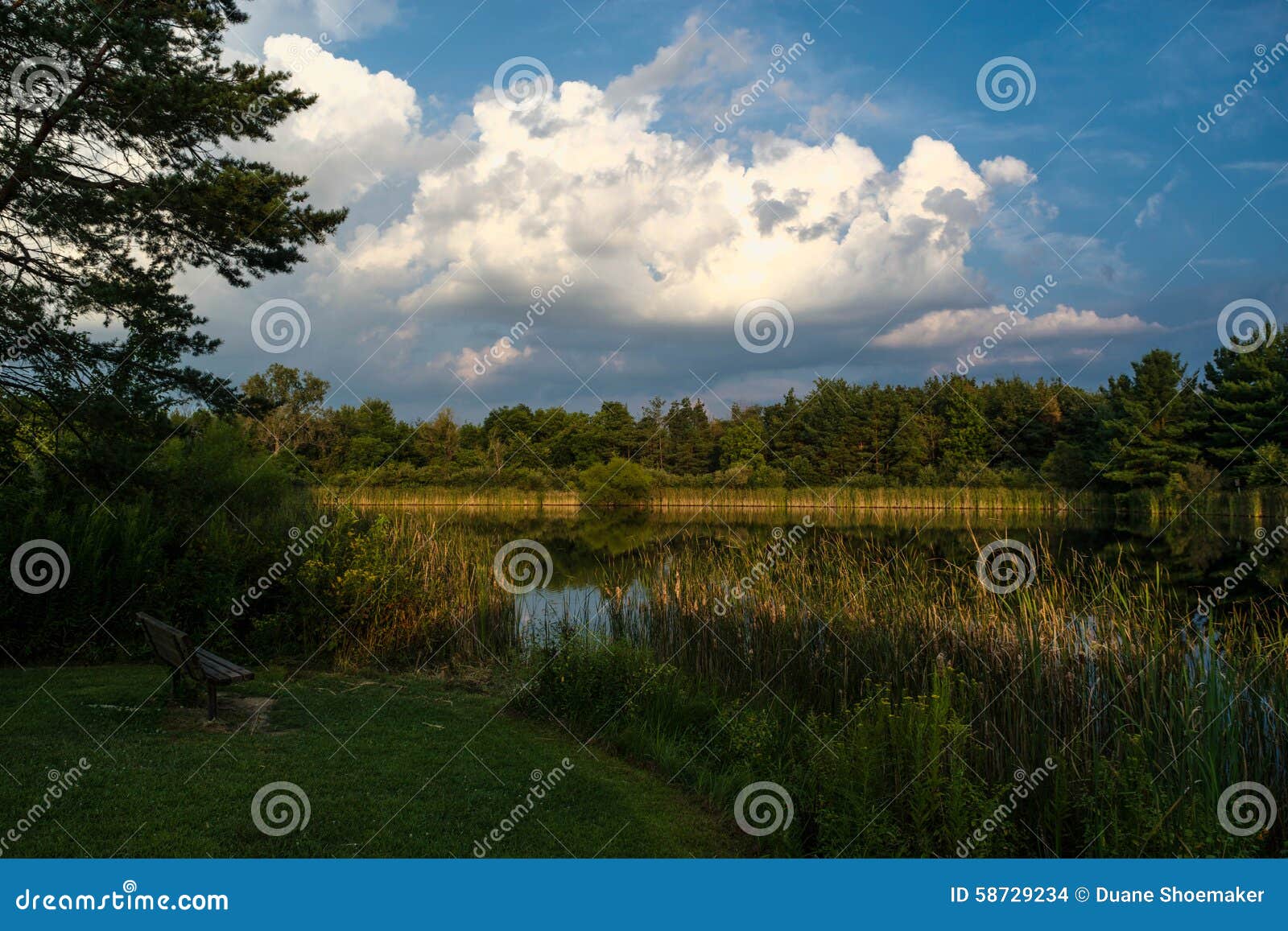 Fishing Pond at Alum Creek in Central Ohio Stock Photo - Image of bench ...