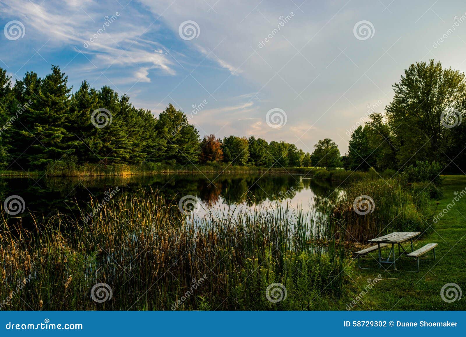 Fishing Pond at Alum Creek in Central Ohio Stock Photo - Image of trees ...