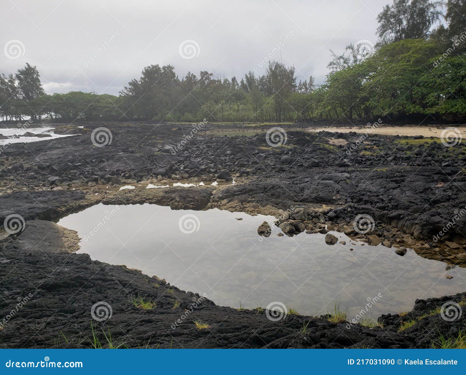 Fishing Pond in Hilo Hawaii Stock Photo - Image of stream, geology ...