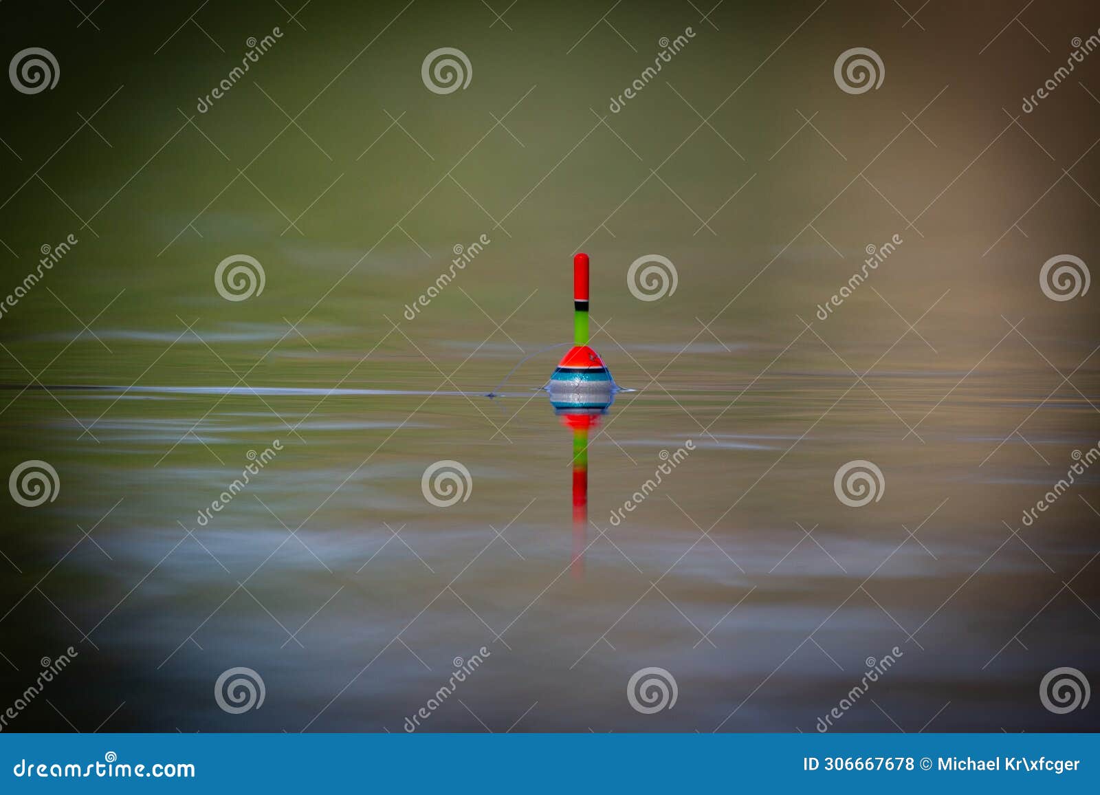 Fishing pose in the water stock photo. Image of catching - 306667678