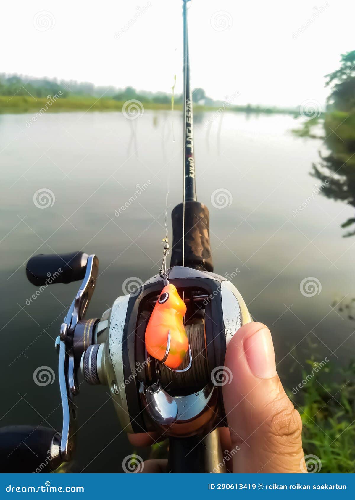 Fishing for Predatory Fish with Casting Technique Stock Image - Image ...