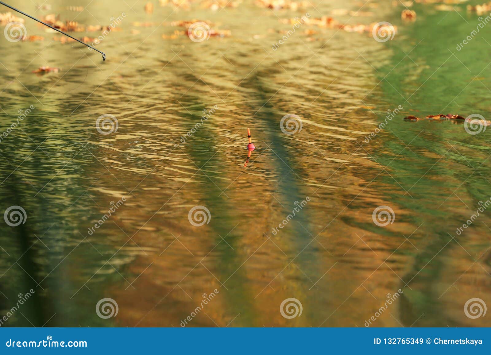 Fishing in River. Float on Surface Stock Image - Image of hobby, float ...