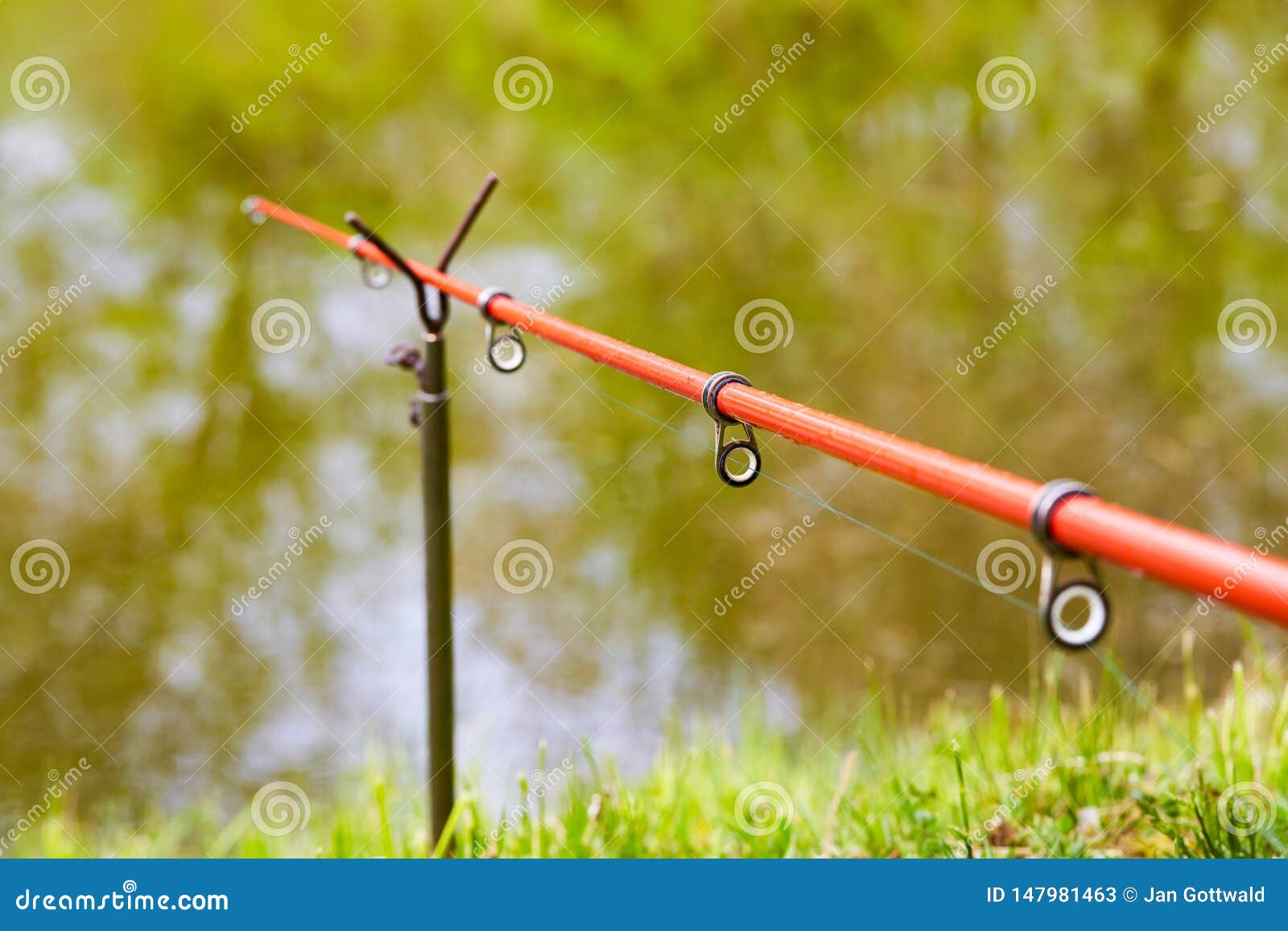 Fishing rod stock image. Image of pond, outdoors, metal - 147981463