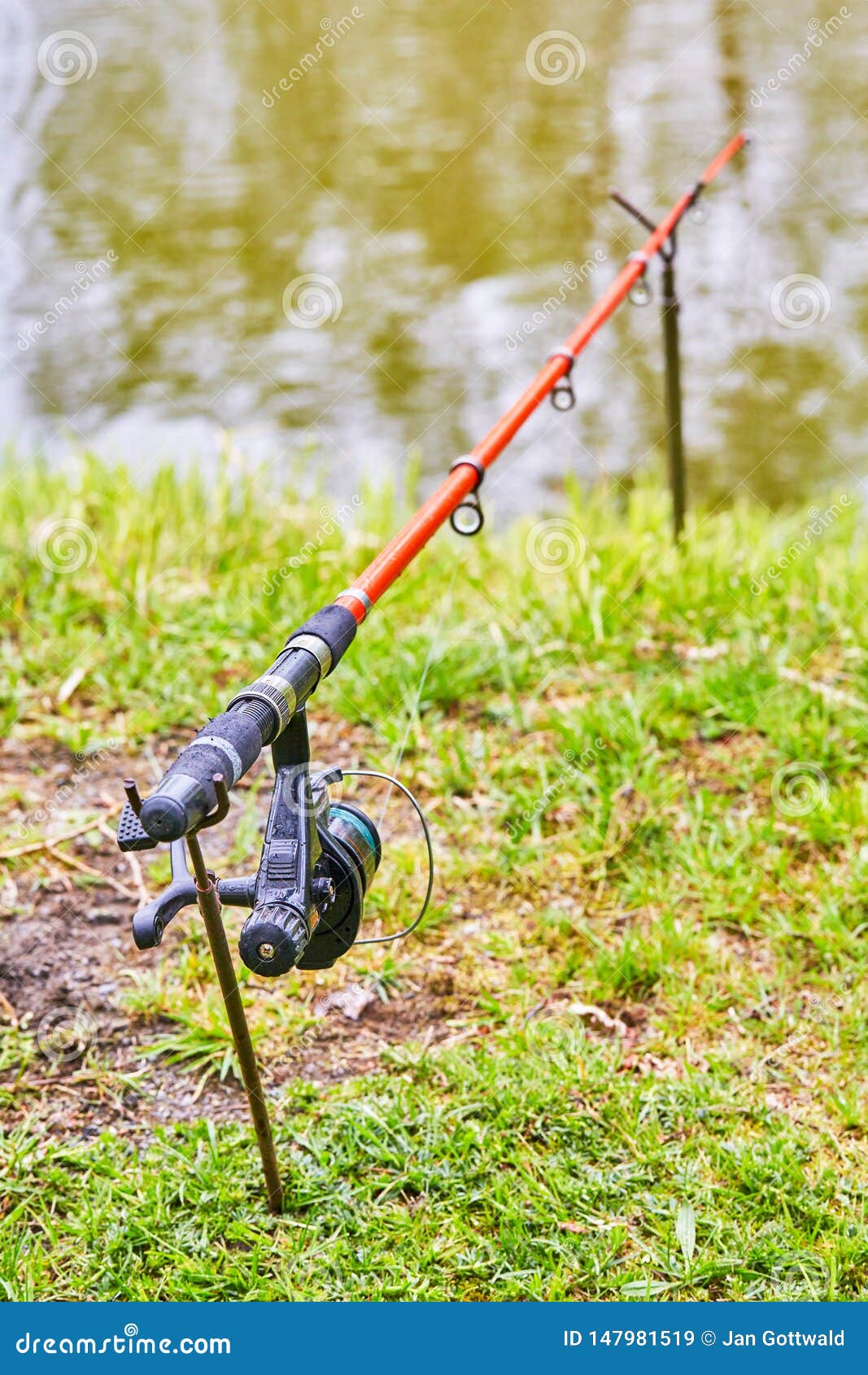Fishing rod stock image. Image of nature, reel, equipment - 147981519