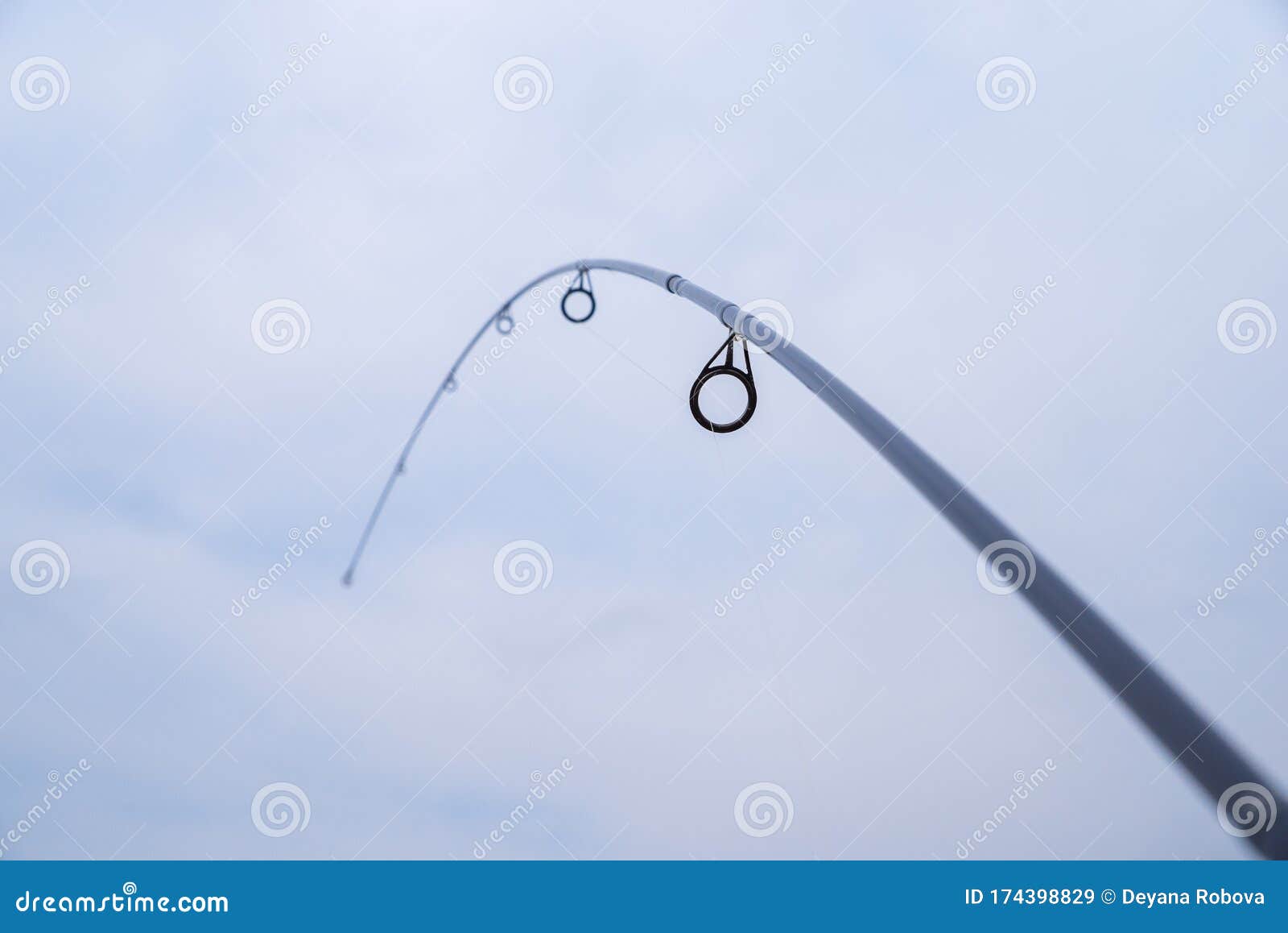 Fishing Rod is Bent and Fully Tensed Stock Image - Image of fisherman ...