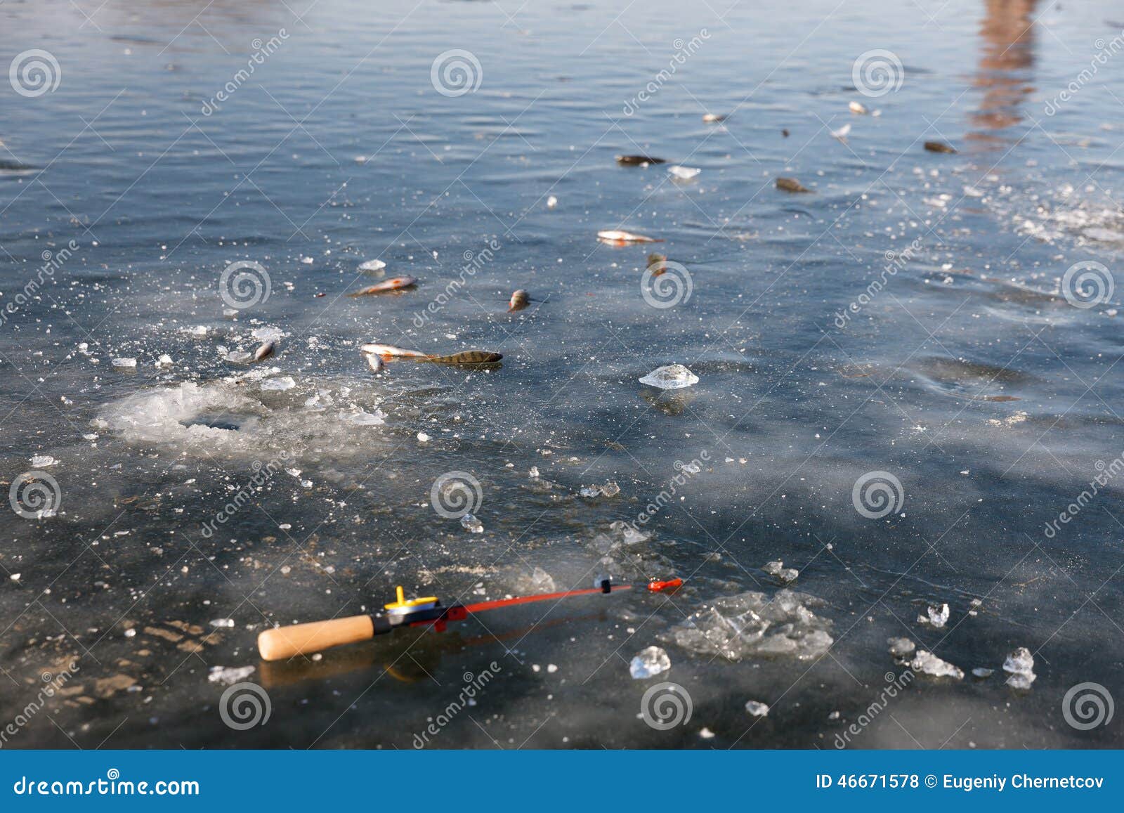 Fishing Rod and Catch a Fish Stock Photo - Image of fishing, landscape ...