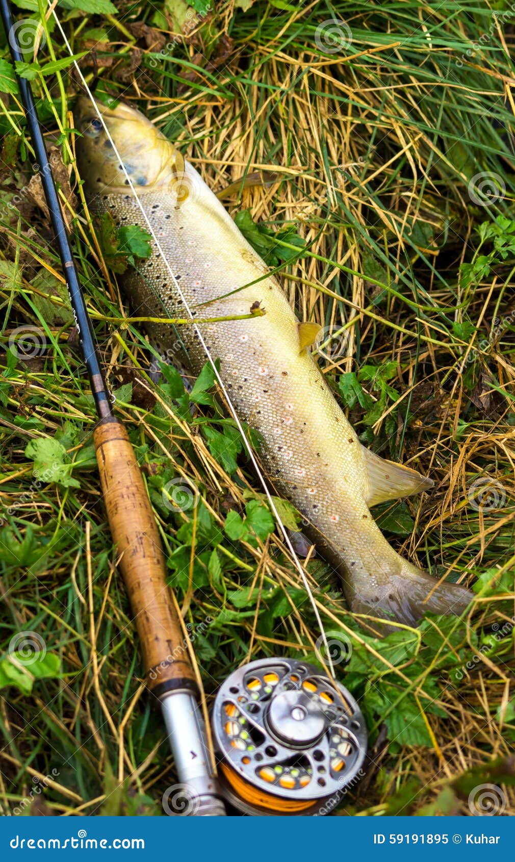 Fishing rod and fish stock image. Image of catch, sport - 59191895