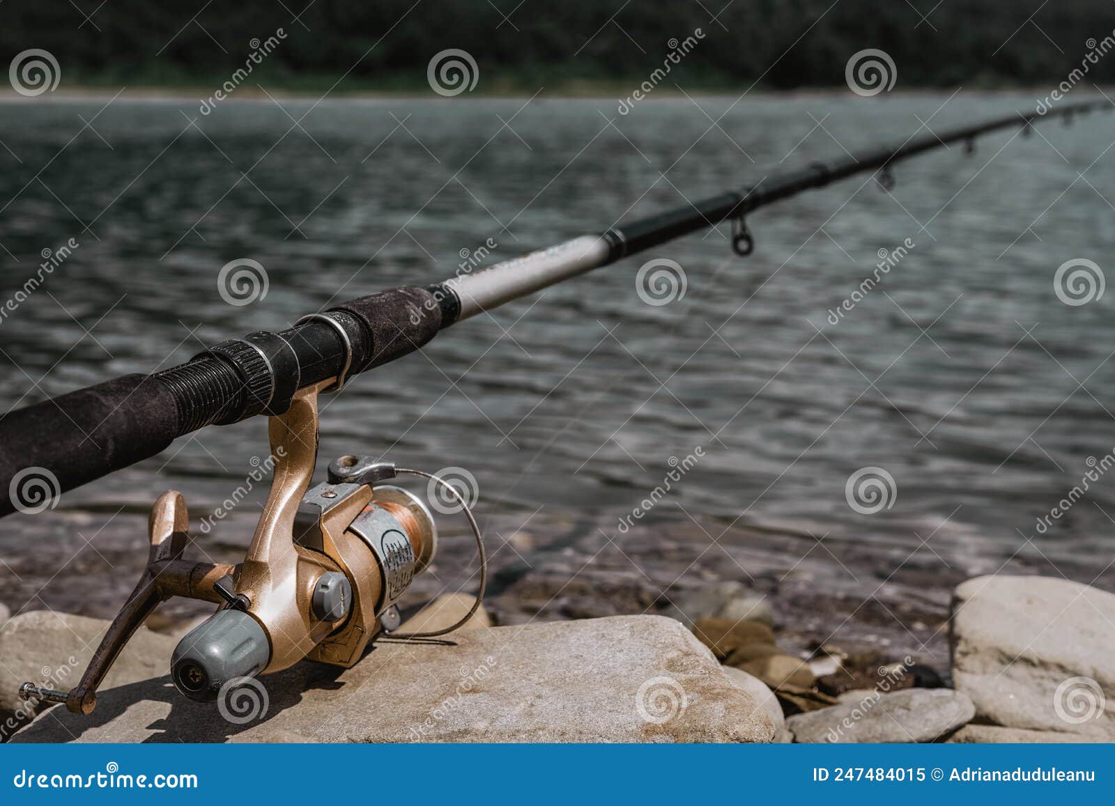 Fishing rod by the lake stock image. Image of tool, fishing - 247484015