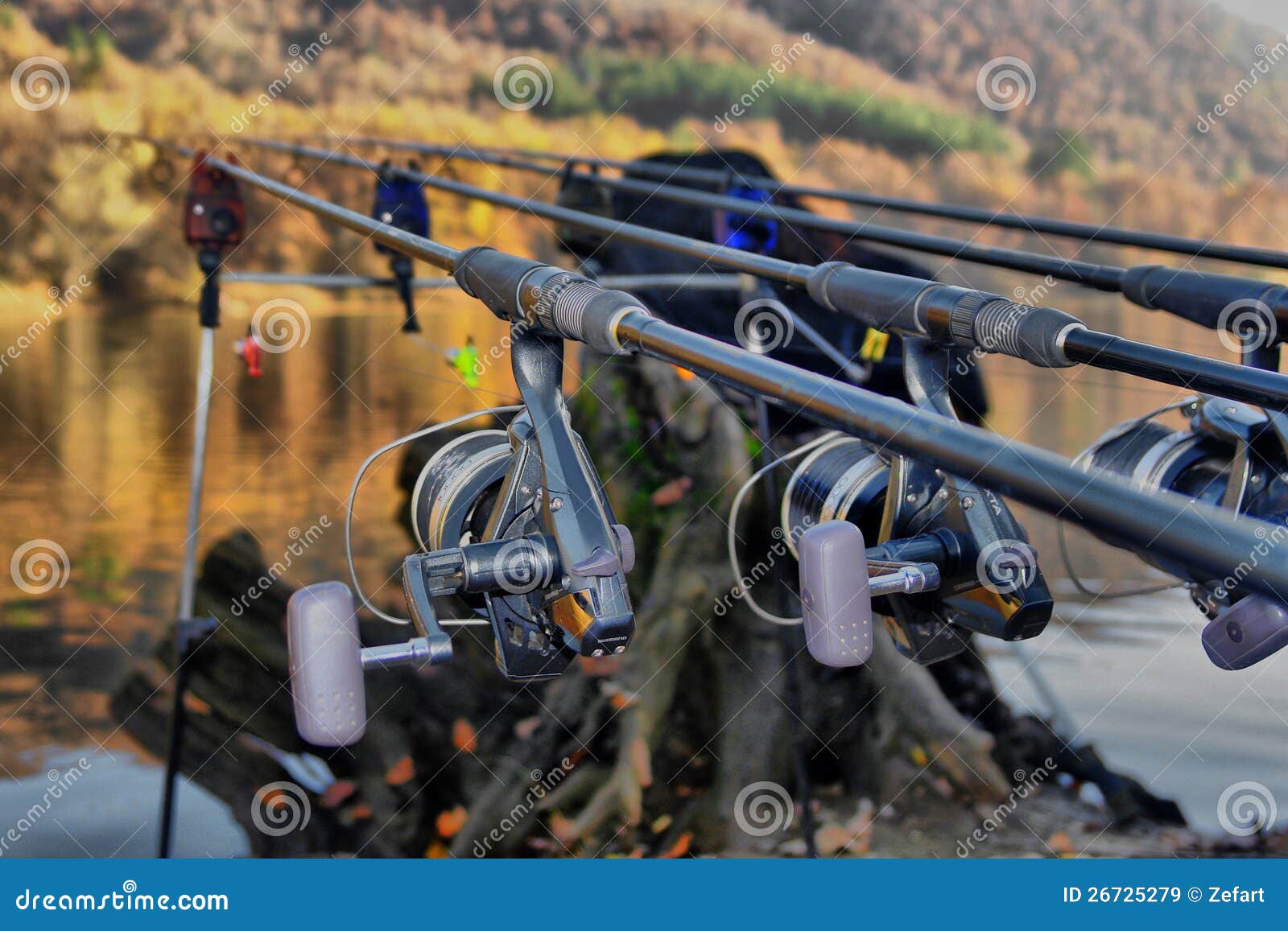 Fishing rods stock image. Image of game, fishing, scenic - 26725279