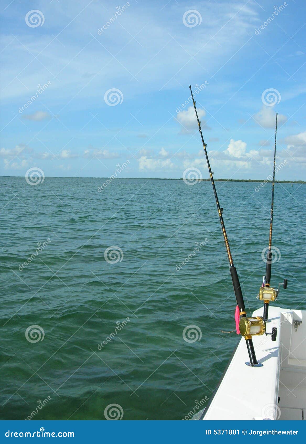 Fishing Rods stock image. Image of florida, reels, ready - 5371801