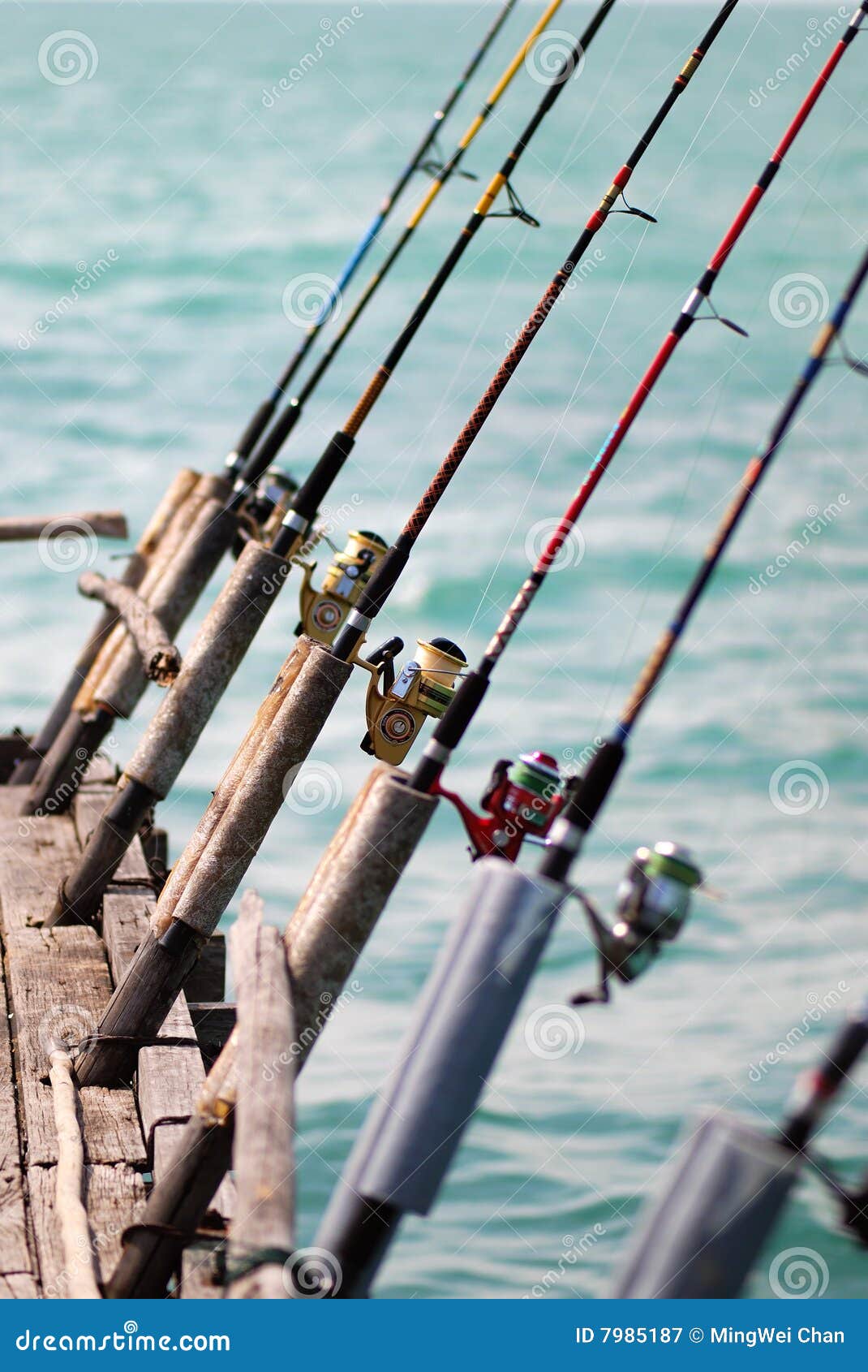 Fishing Rods stock image. Image of fishing, line, photograph - 7985187